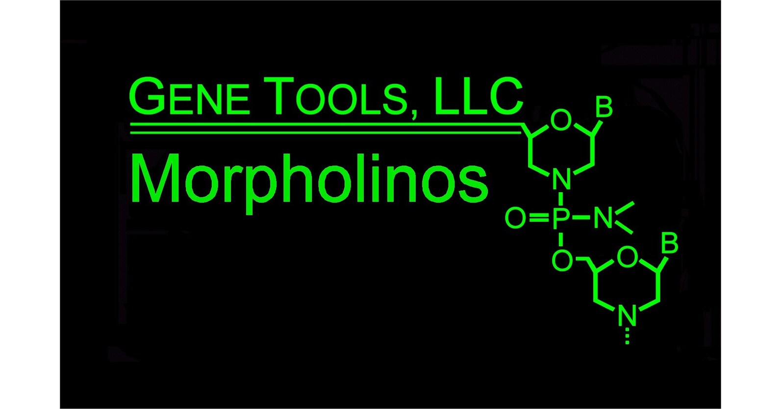 Ajinomoto Bio-Pharma Services and Gene Tools Announce Collaboration to ...