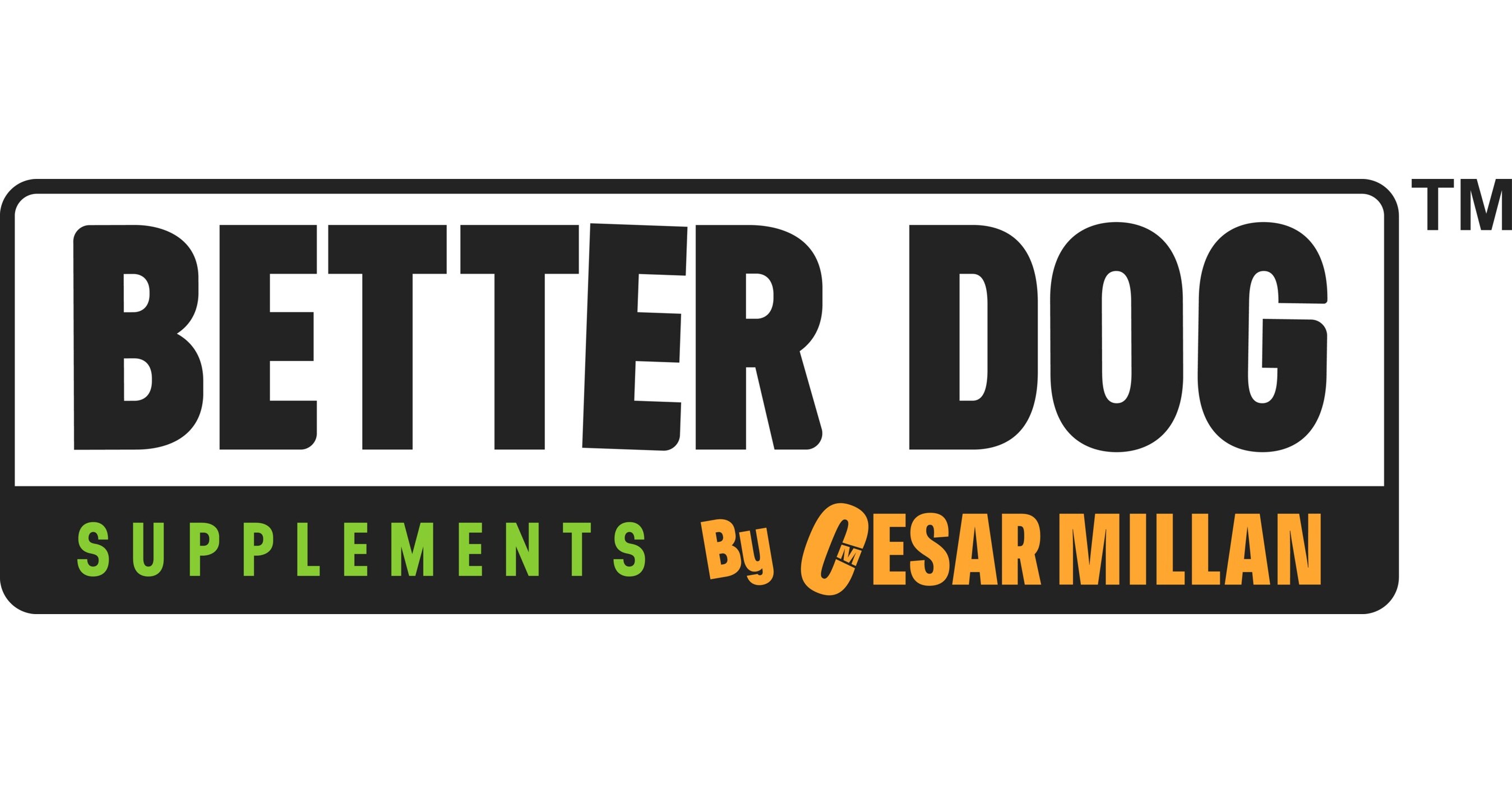 Cesar Millan, The original Host of The Dog Whisperer TV Series ...