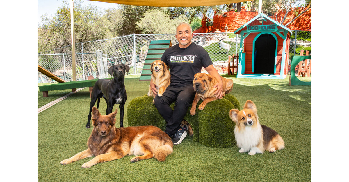Cesar Millan, The original Host of The Dog Whisperer TV Series ...