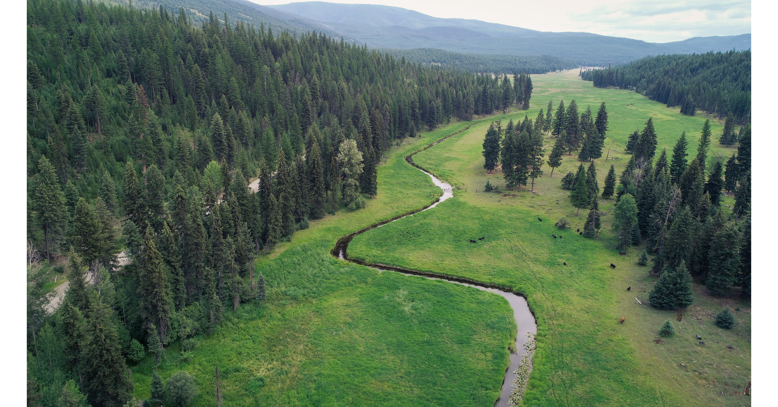 New Project Approved: Wetland & Stream Restoration in the Thompson ...