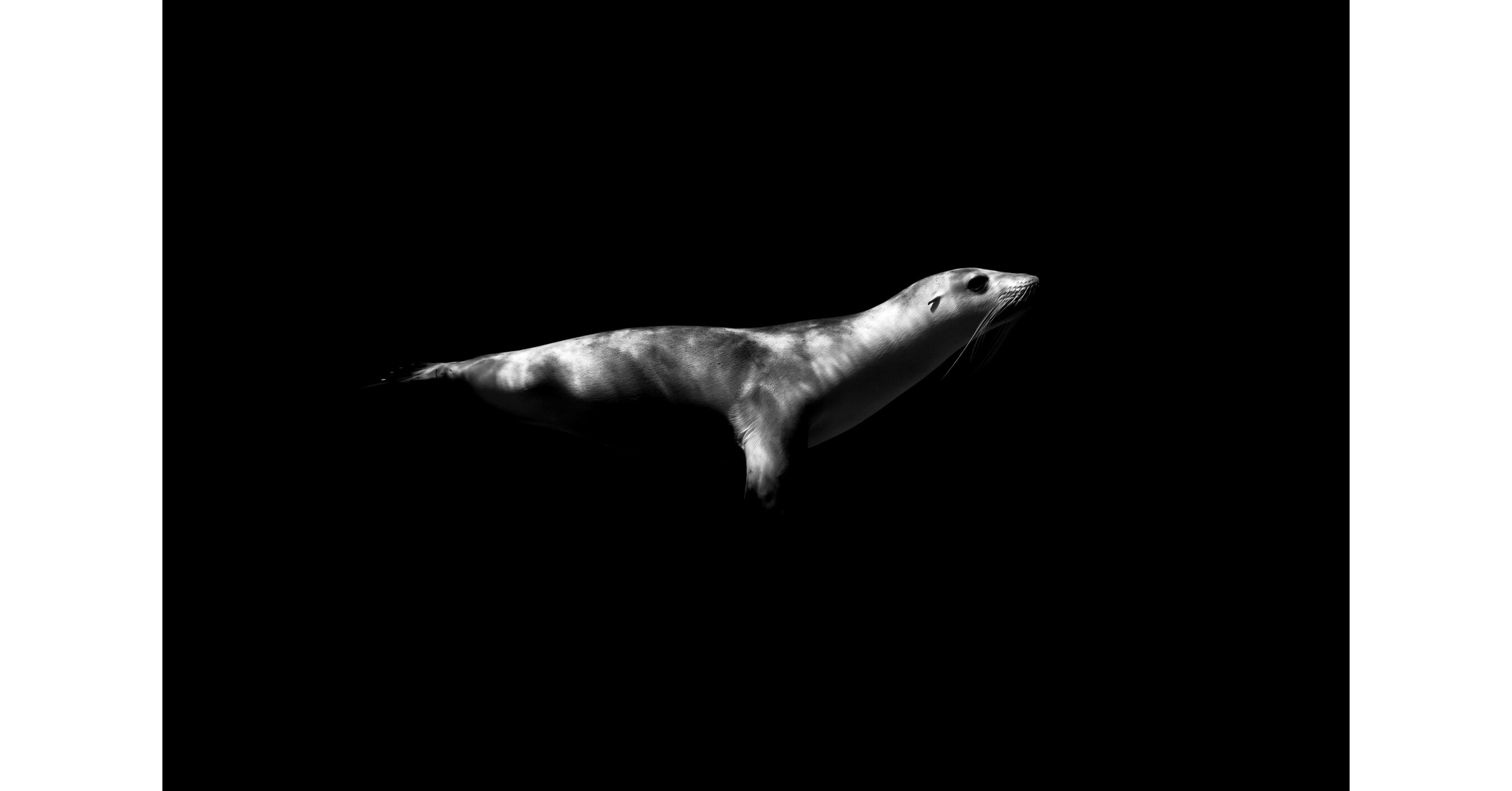 Leica Store & Gallery New York Presents "Within One Breath:" A Solo ...