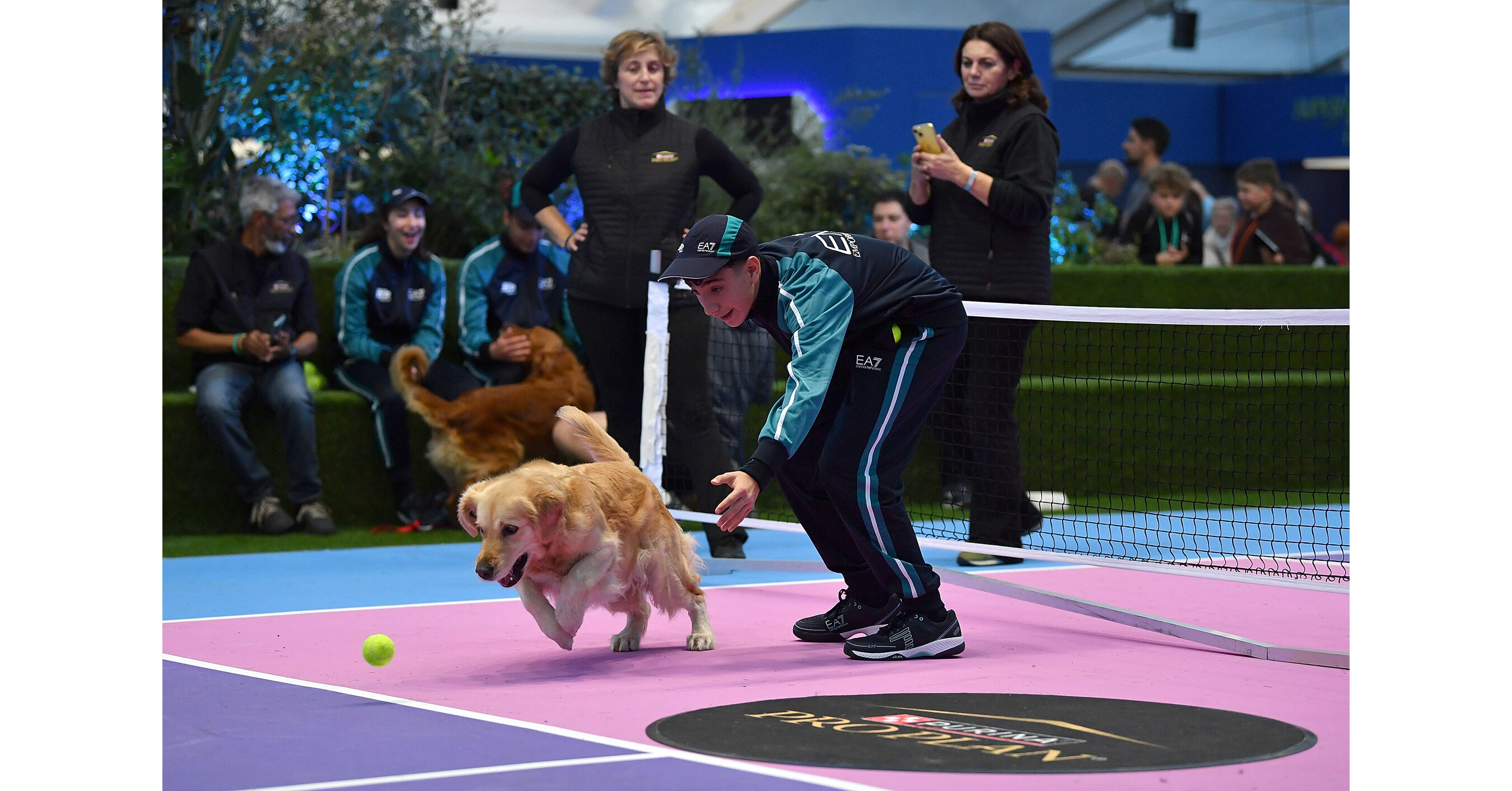 Round of a-paws: Purina PRO PLAN® enlists a team of energetic dogs to ...