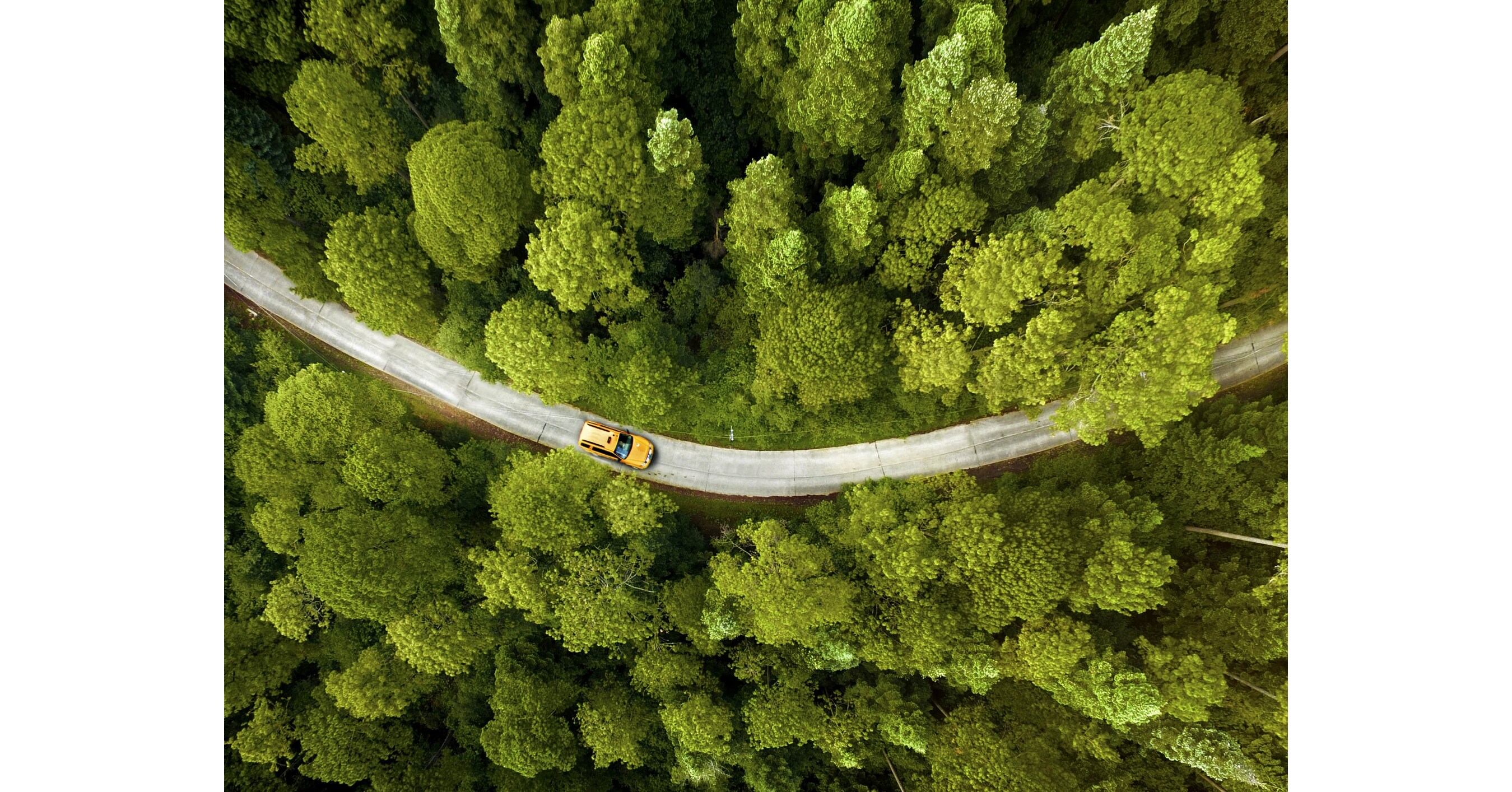 IBM and Polytechnique Montréal Launch AI Initiative to Strengthen Forestry Supply Chain