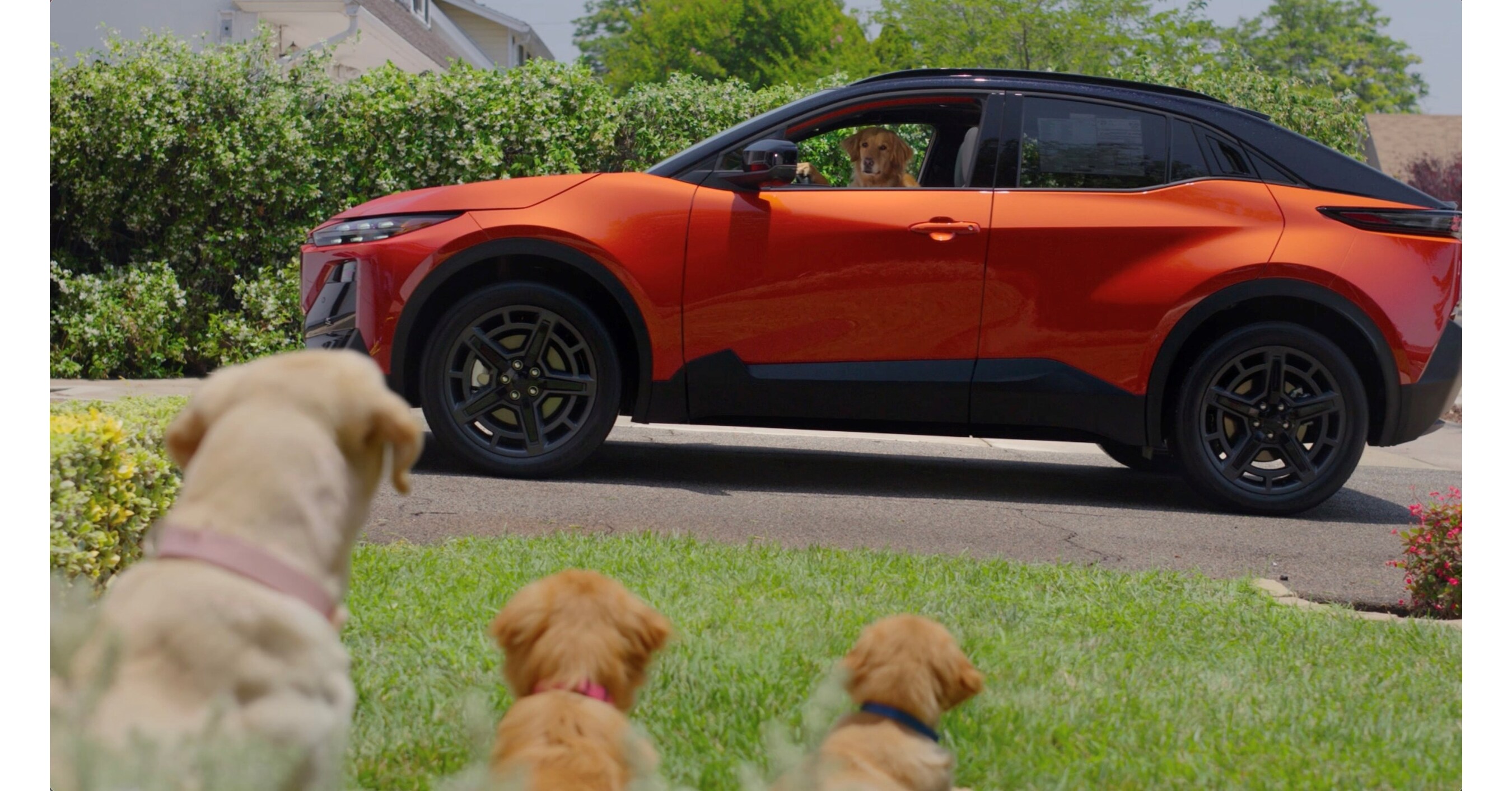 THE SUBARU BARKLEY FAMILY IS BACK ON (AND OFF) THE ROAD IN NEW "DOG ...