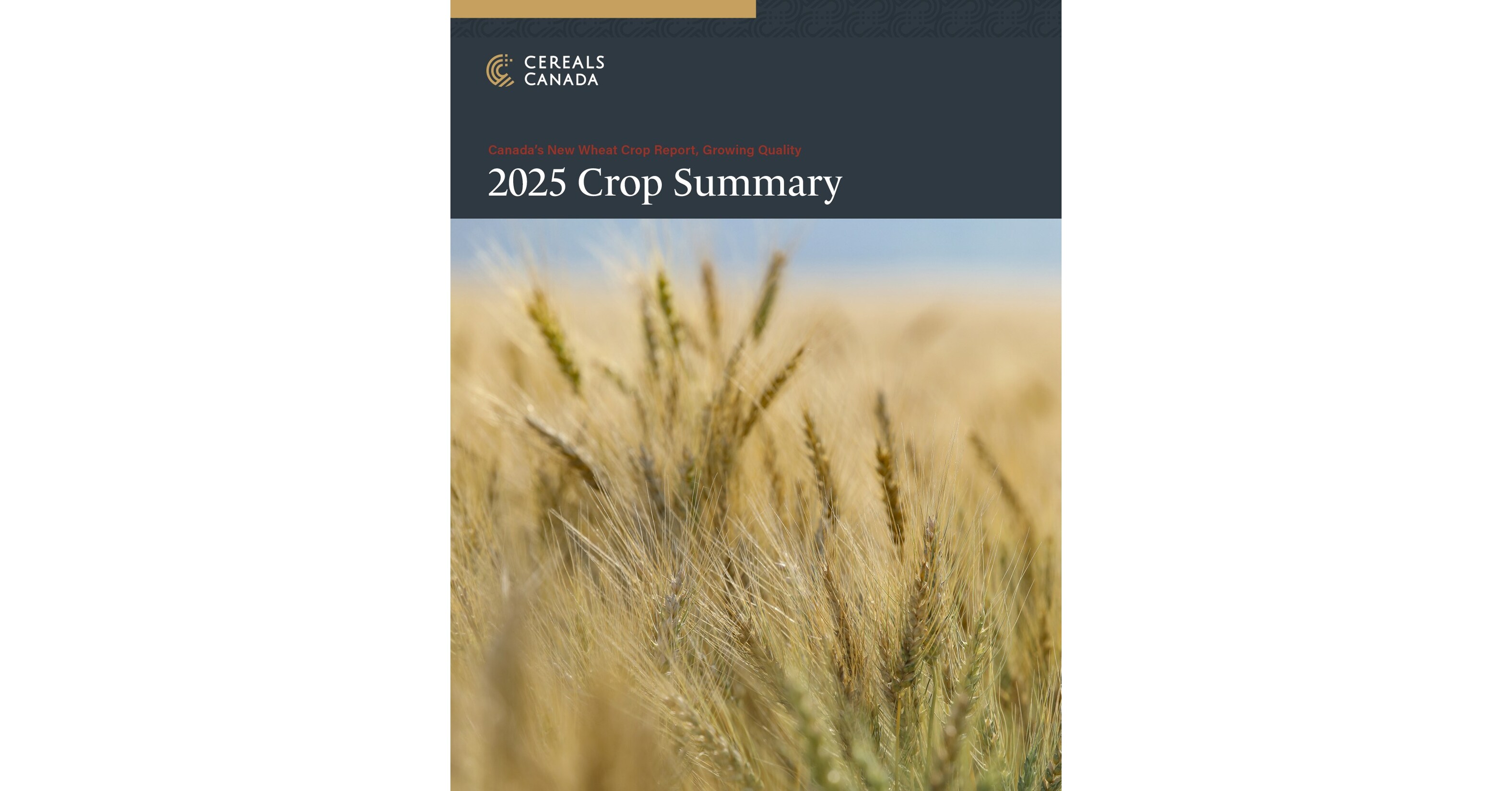 Cereals Canada Releases 2025 New Wheat Crop Report