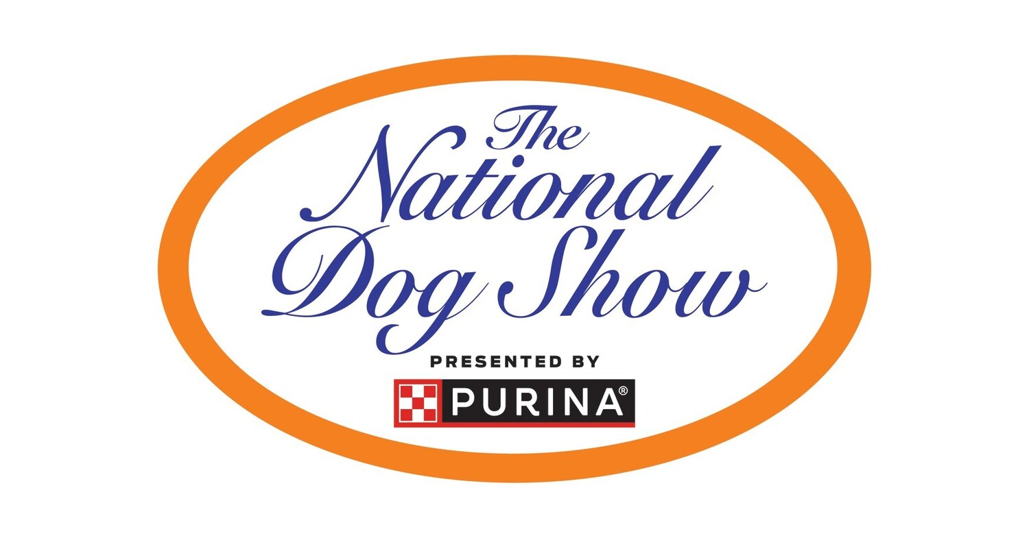After 25 Years, Busy Bee Has Been Found! The National Dog Show ...