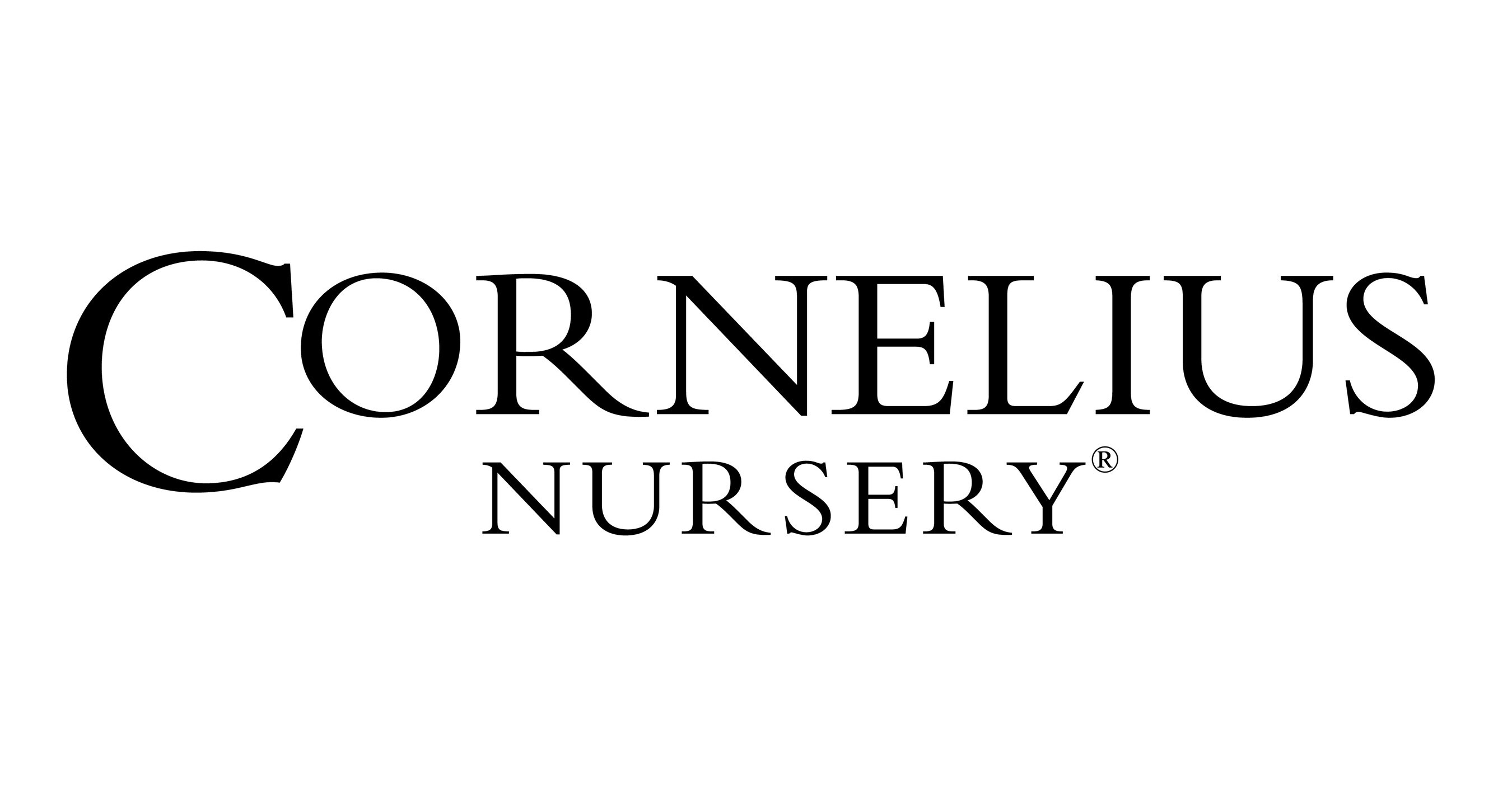 WHERE TO BUY CHRISTMAS TREES IN HOUSTON: CORNELIUS NURSERY OFFERS SIX ...