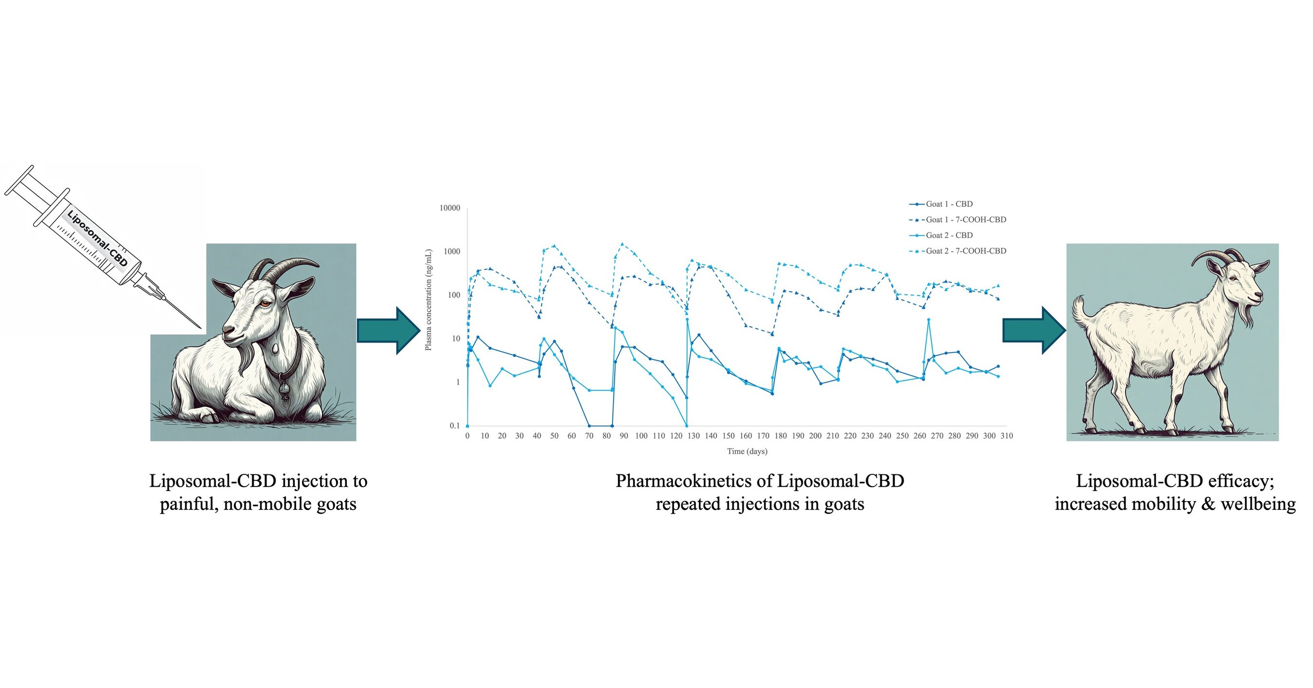 Innocan Pharma Announces Promising Translational Evidence from a Pain ...