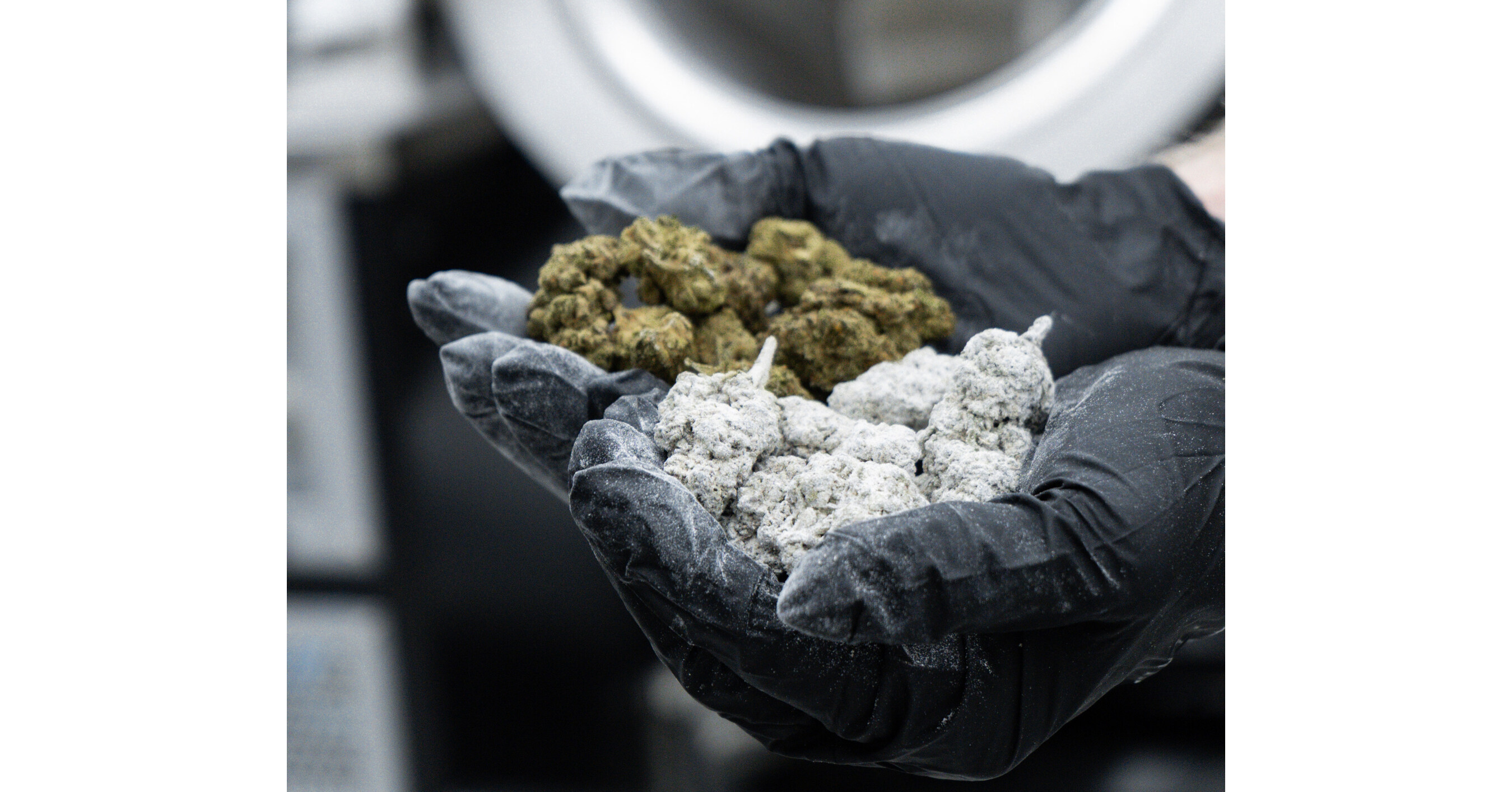DDS Unveils the FX-8: Revolutionizing Automated Infused-Flower Production