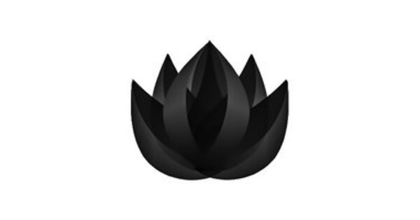 How AI-Powered Content Automation Generated $3.5M: Black Lotus Ventures ...