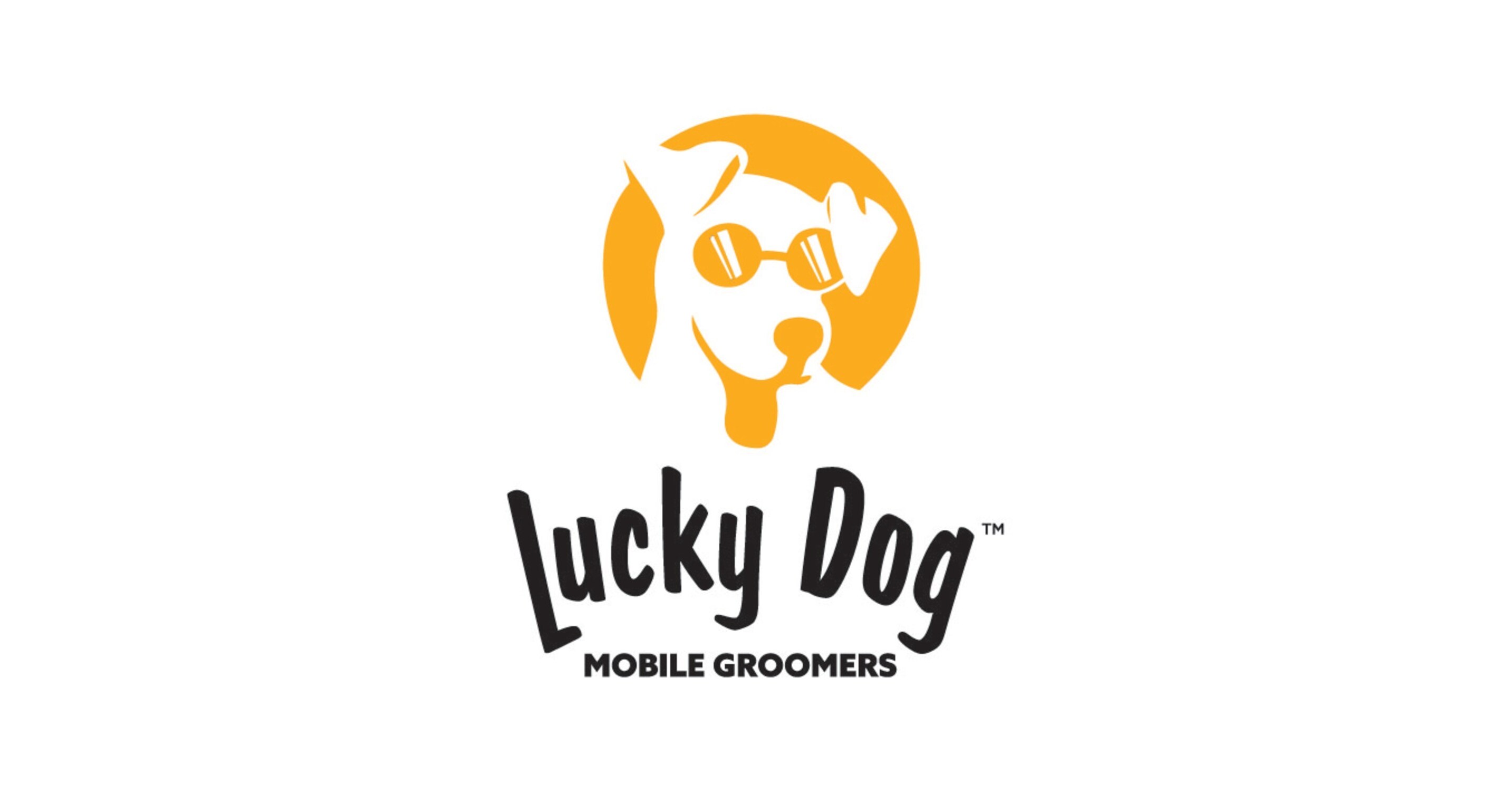 Lucky Dog Mobile Groomers Expands into New Markets as Spring Demand ...