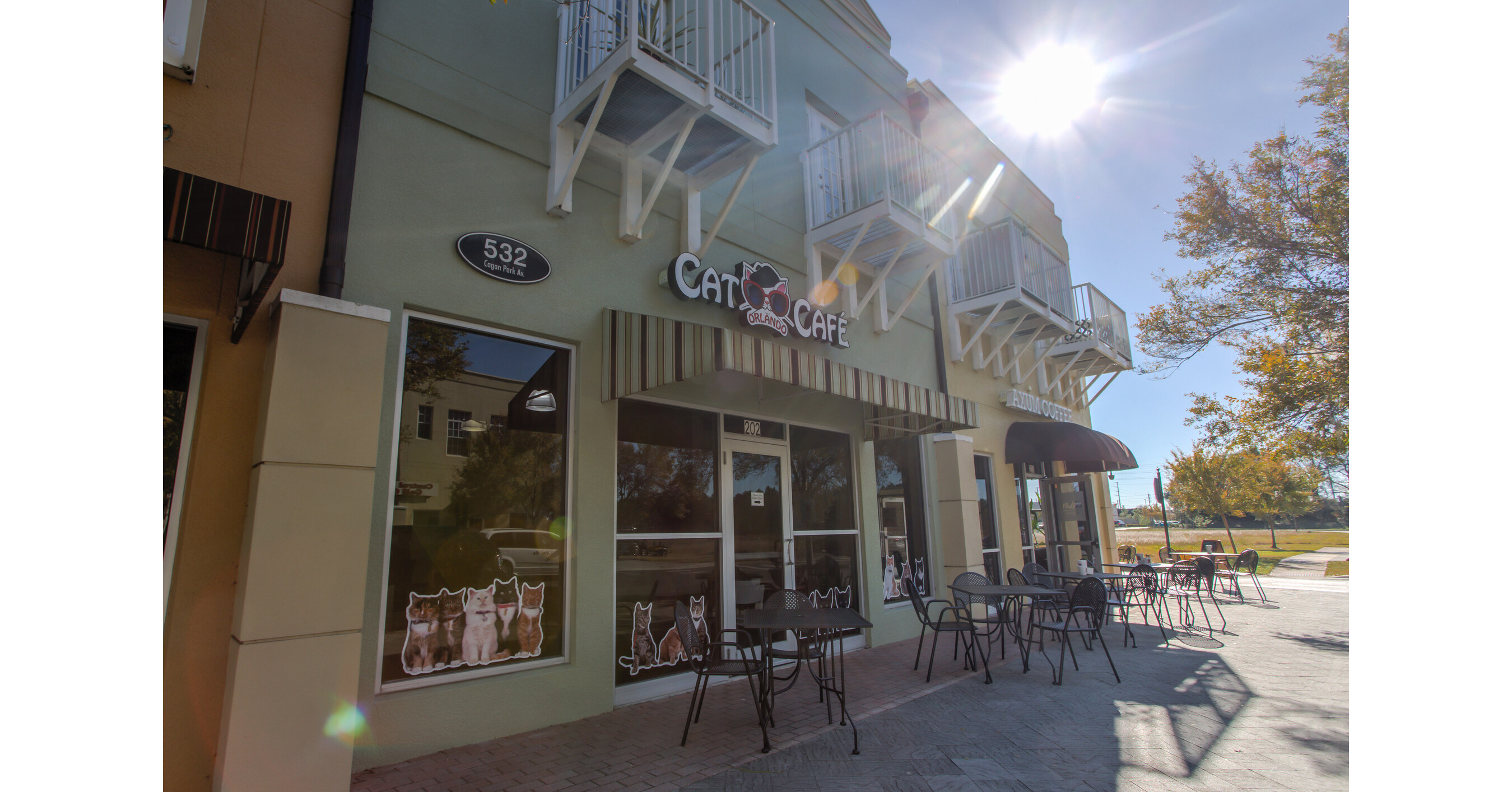 Orlando Cat Café Expands with First Franchise Sale, Bringing Unique Cat ...