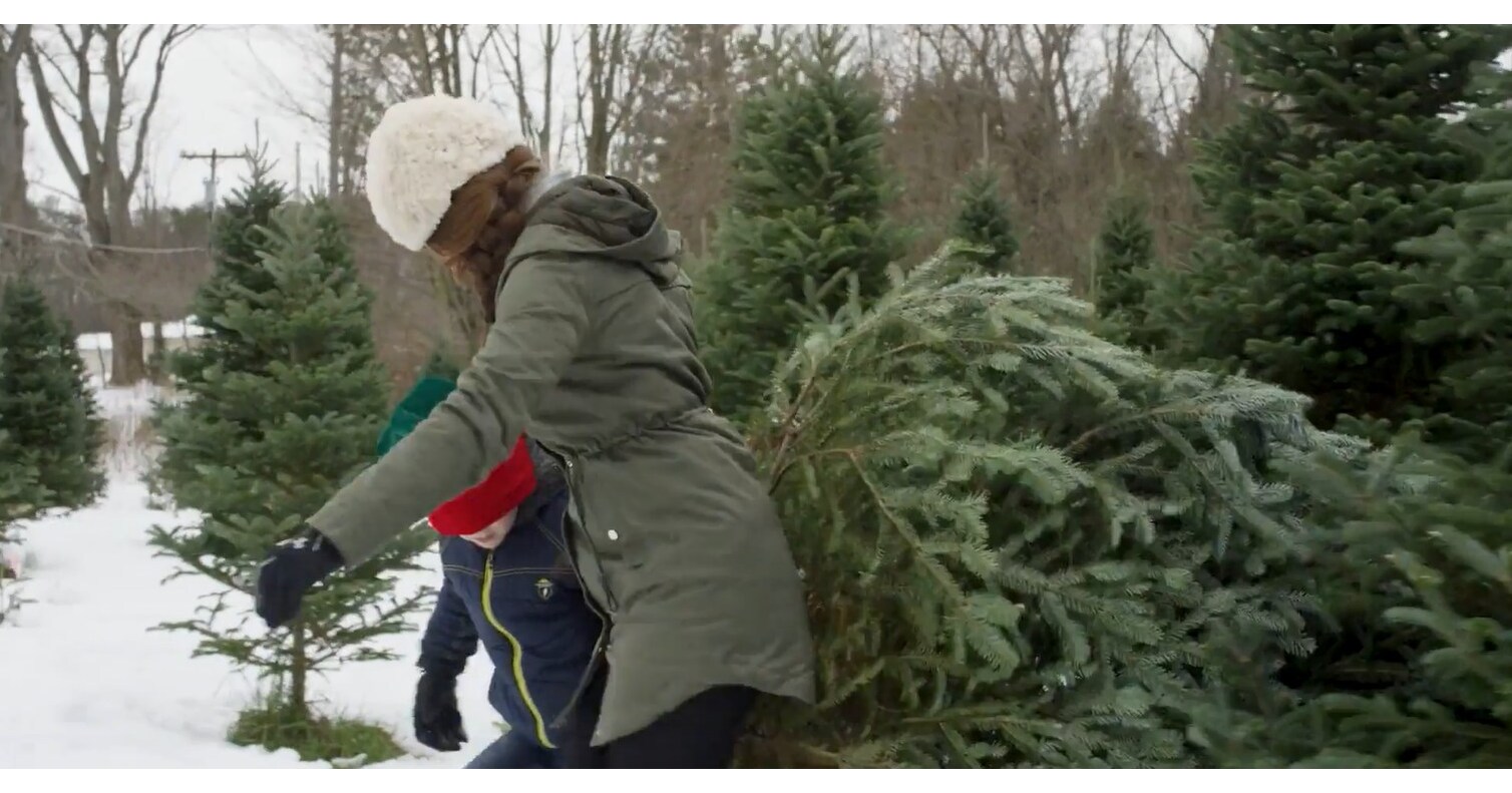 Real Christmas Tree Supply is Strong and Plentiful Nationwide