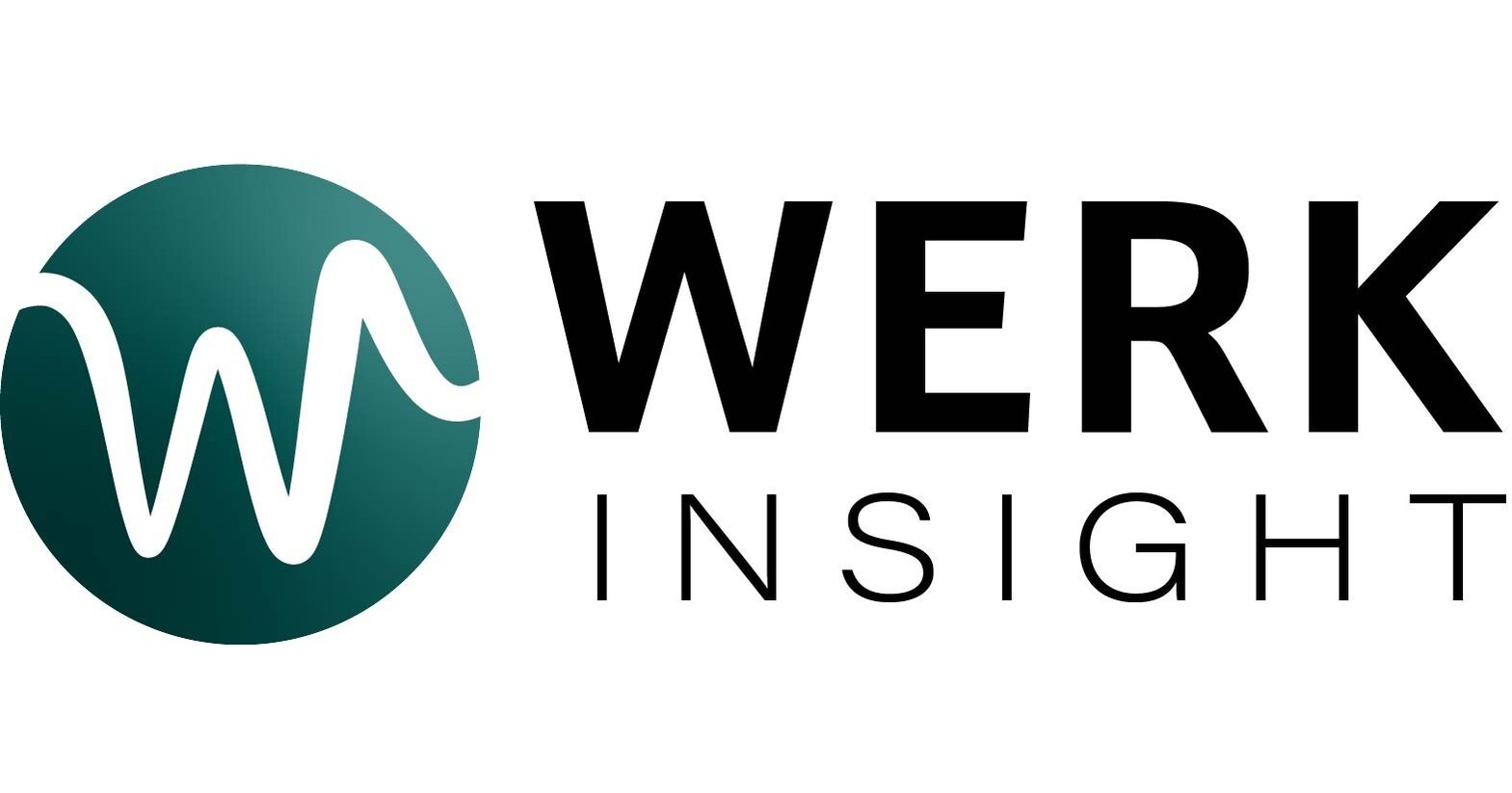 Werk Insight Named Marketing Research Supplier of the Year
