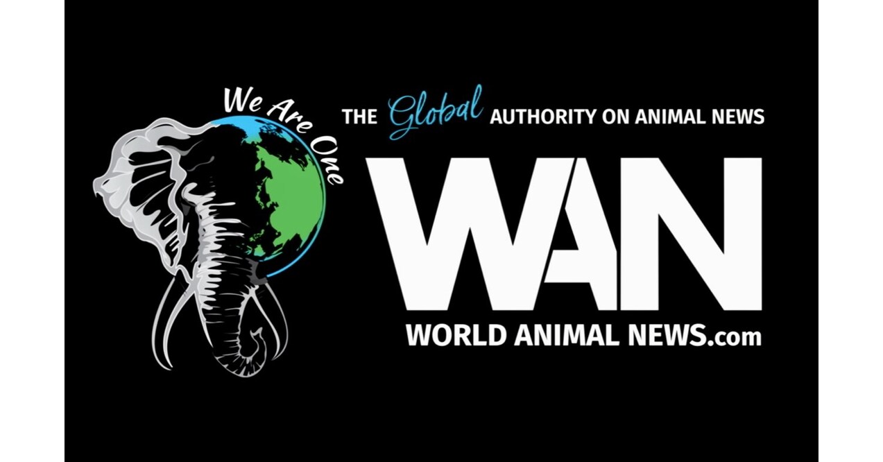 World Animal News and Ecoflix Announce New Partnership to Drive ...