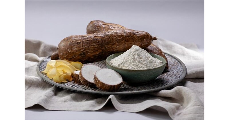 Yuca costarricense: el sabor natural que conecta bienestar, calidad y ...