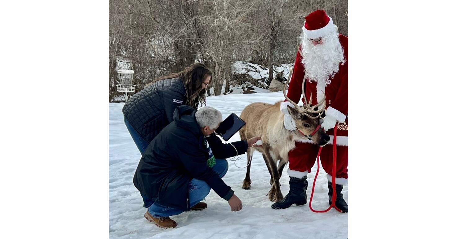 Santa's reindeer cleared for flight after annual veterinary exam