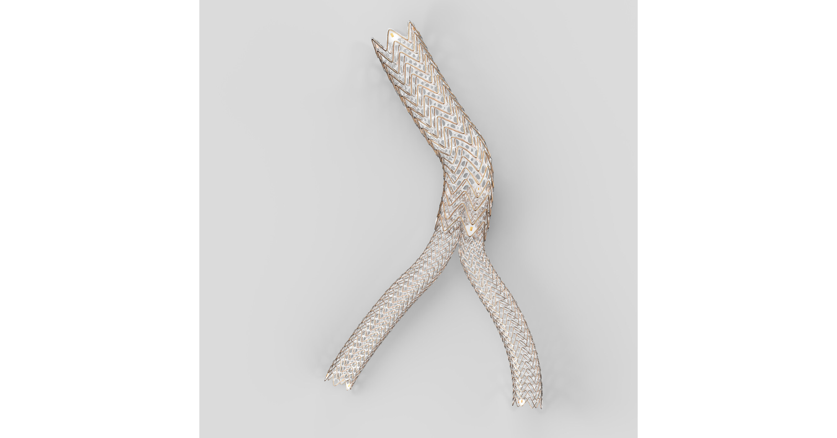 GORE GAINS FDA APPROVAL FOR FIRST DEEP VENOUS STENT INDICATED FOR THE ...