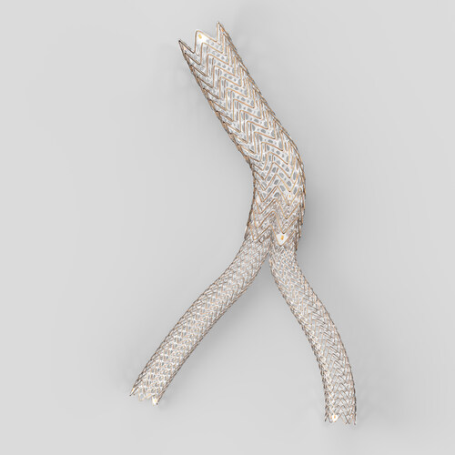 GORE GAINS FDA APPROVAL FOR FIRST DEEP VENOUS STENT INDICATED FOR THE ...