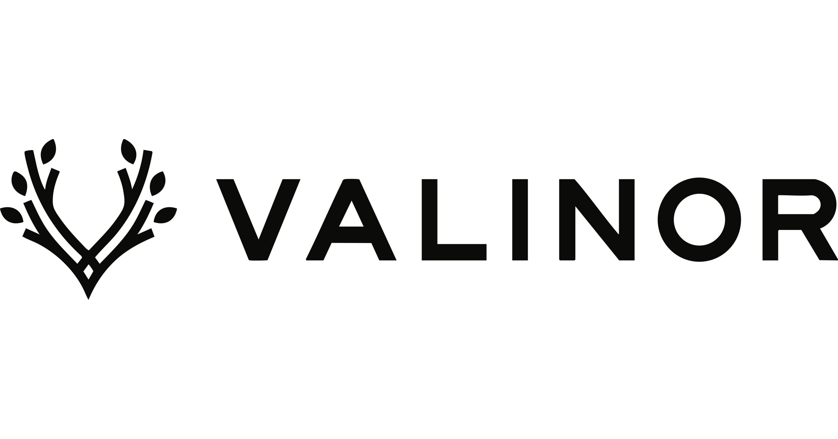 Valinor Enterprises: $85 Million Raised to Scale New Operating Model ...