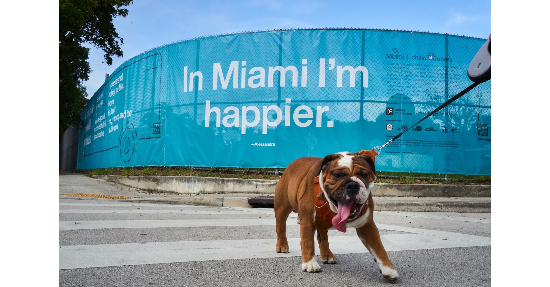 O, Miami, SWWIM, and Elevate Miami launch "Sonnet Boom," turning ...