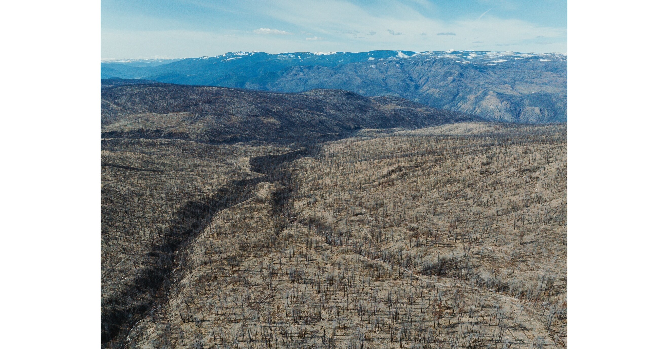 Manulife Launching Impact Forests, a Global Forest Restoration ...