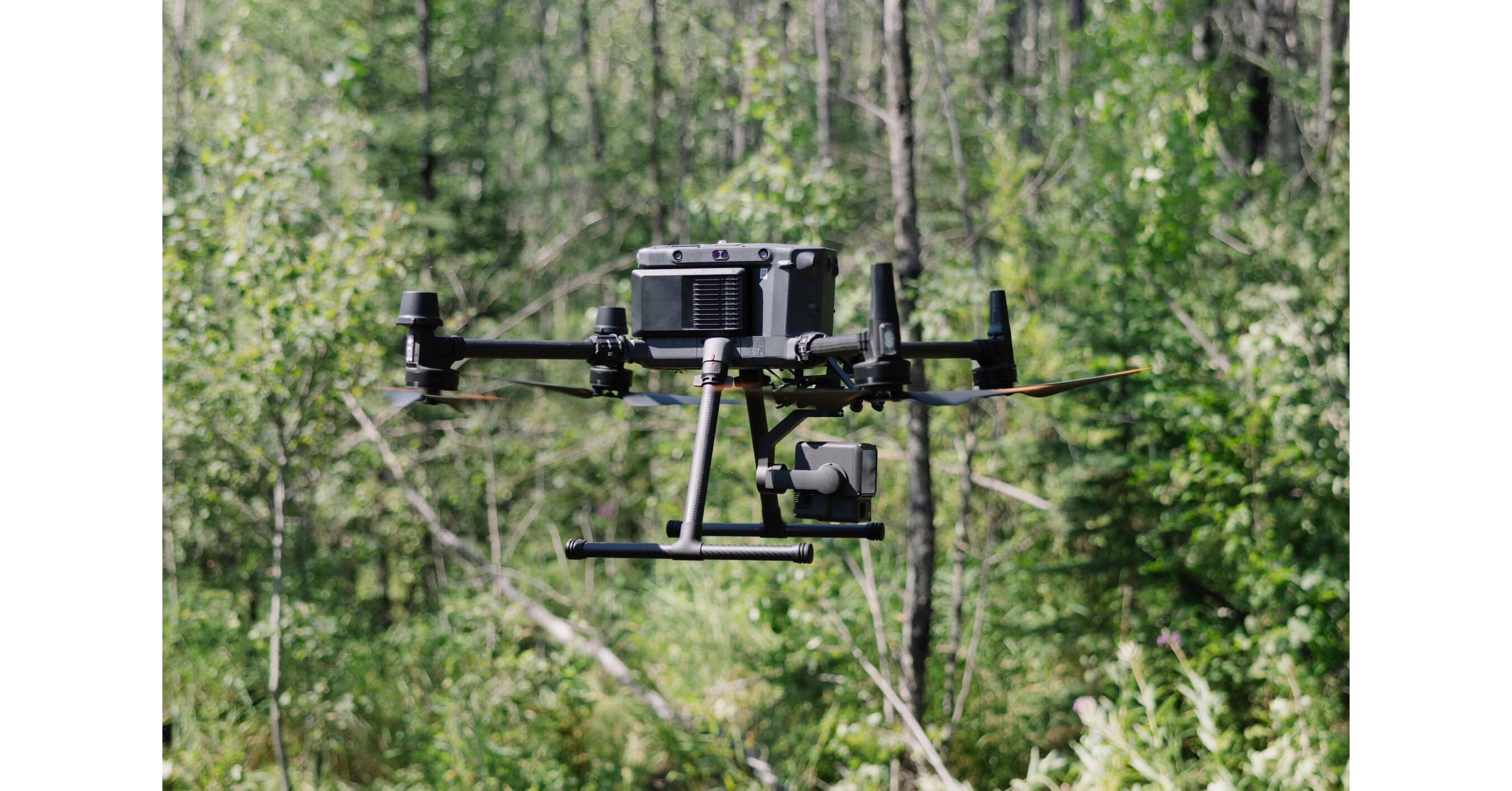 Manulife Launching Impact Forests, a Global Forest Restoration ...