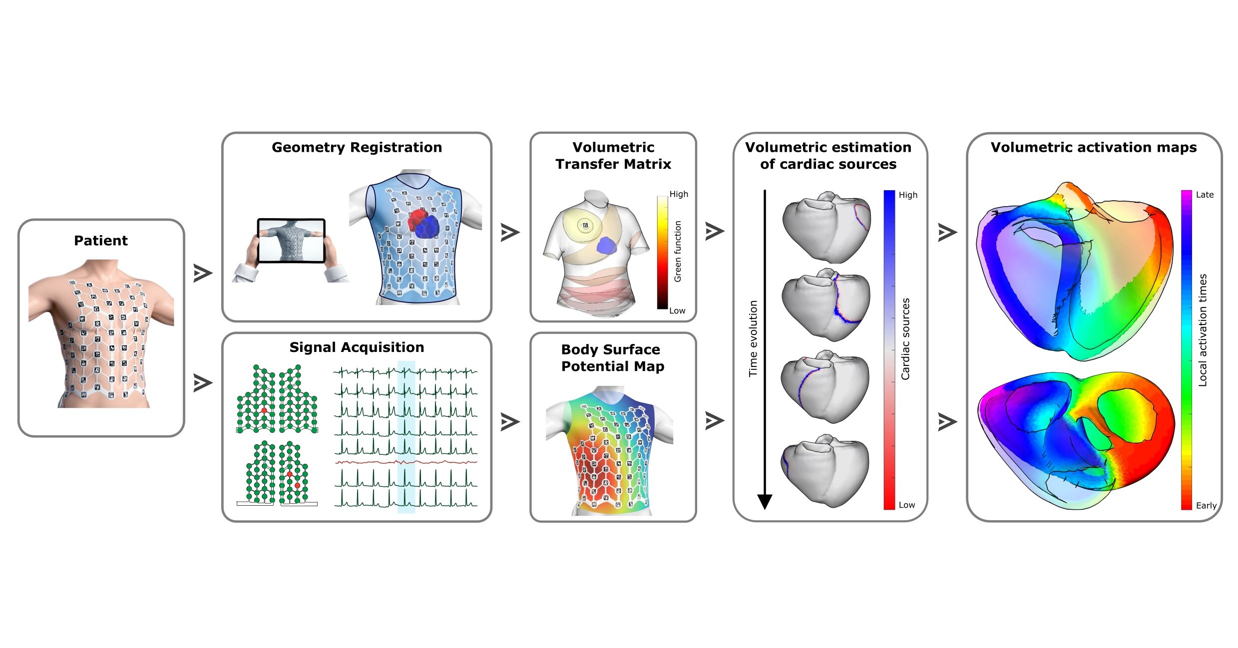 Corify Care Introduces First Whole-Heart Mapping Technology, Delivering ...