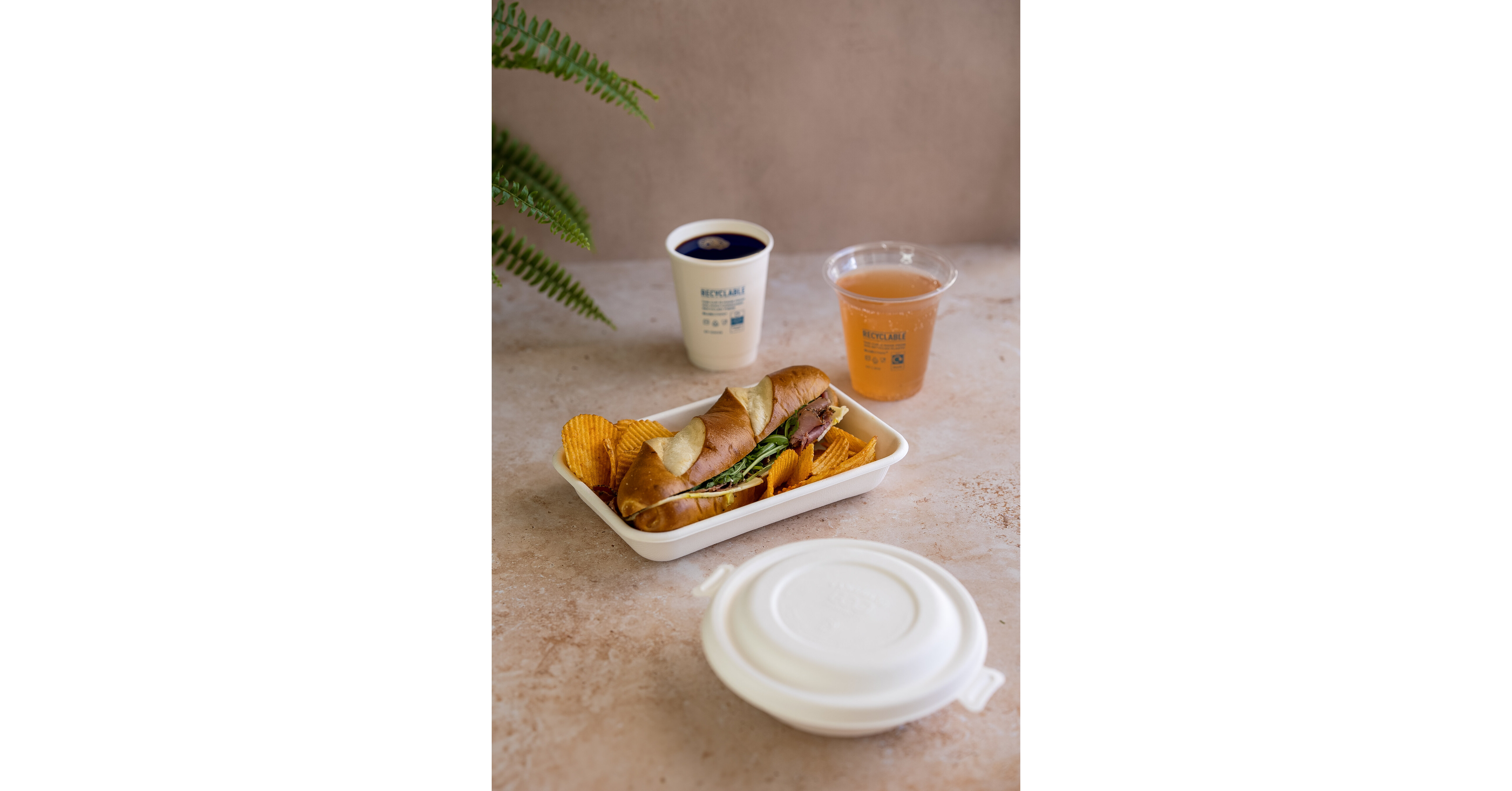 Eco-Products to Launch Environmentally Responsible Packaging Products ...