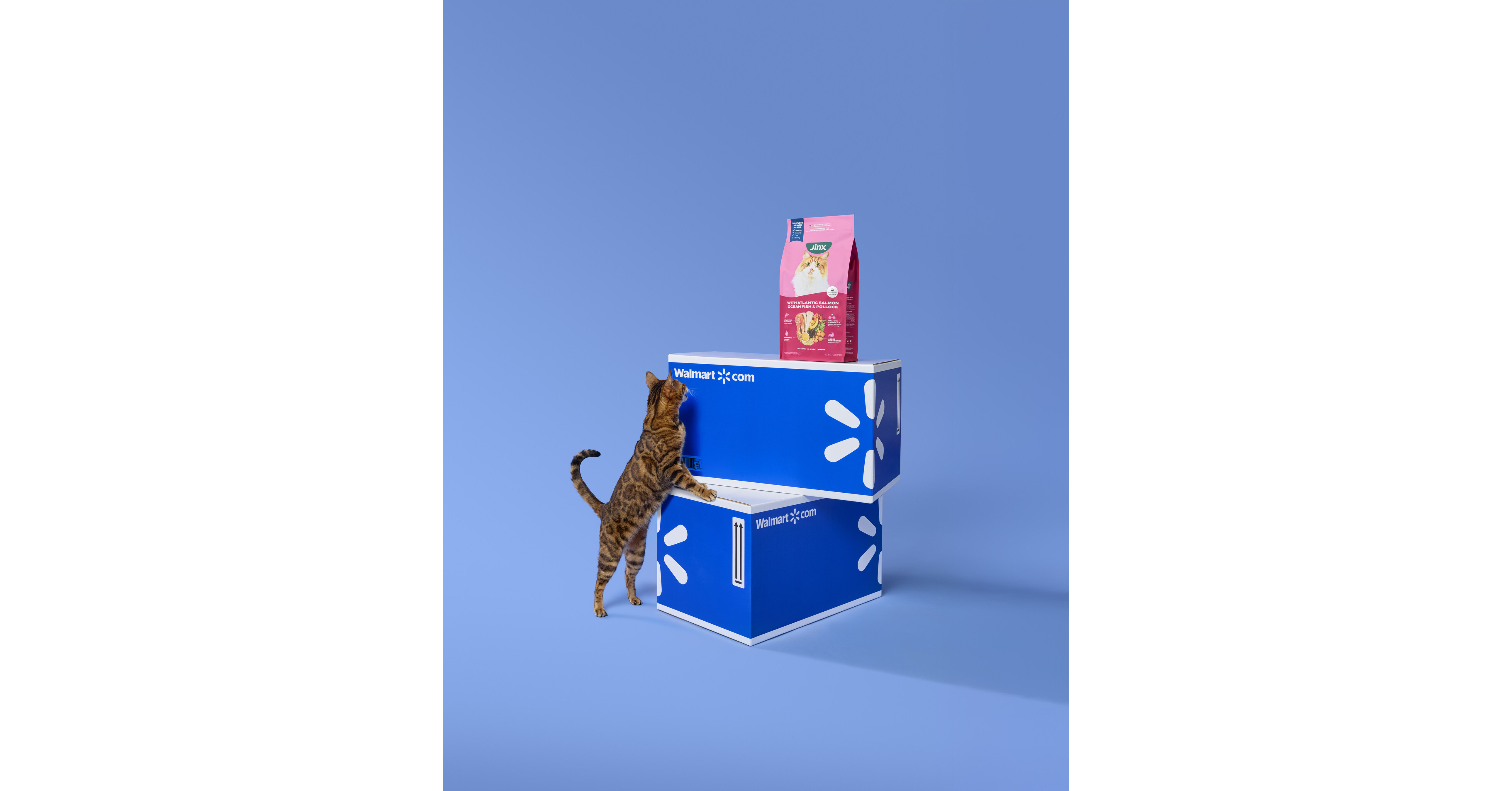 Jinx Expands to Cat Food, Partners with Tinx to Celebrate Cat Ownership ...