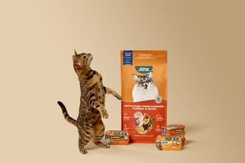 Jinx Expands to Cat Food, Partners with Tinx to Celebrate Cat Ownership ...