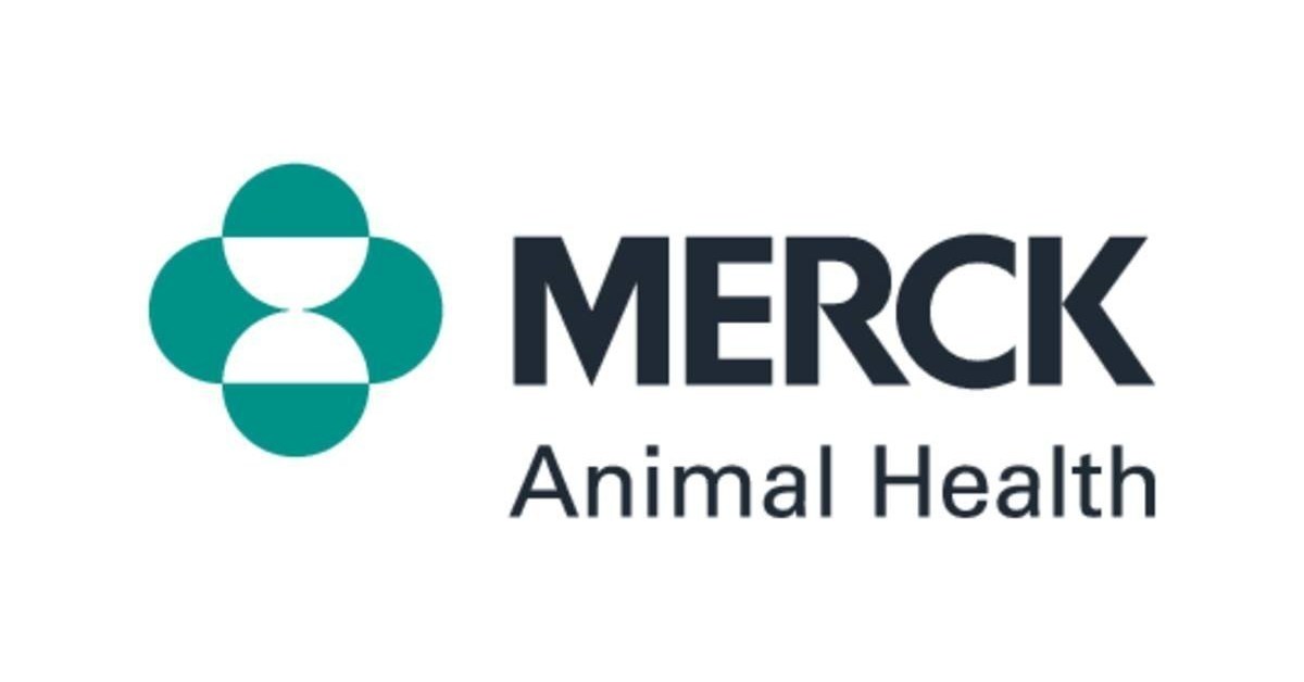 Significant Study on Veterinary Wellbeing Reveals Importance of ...