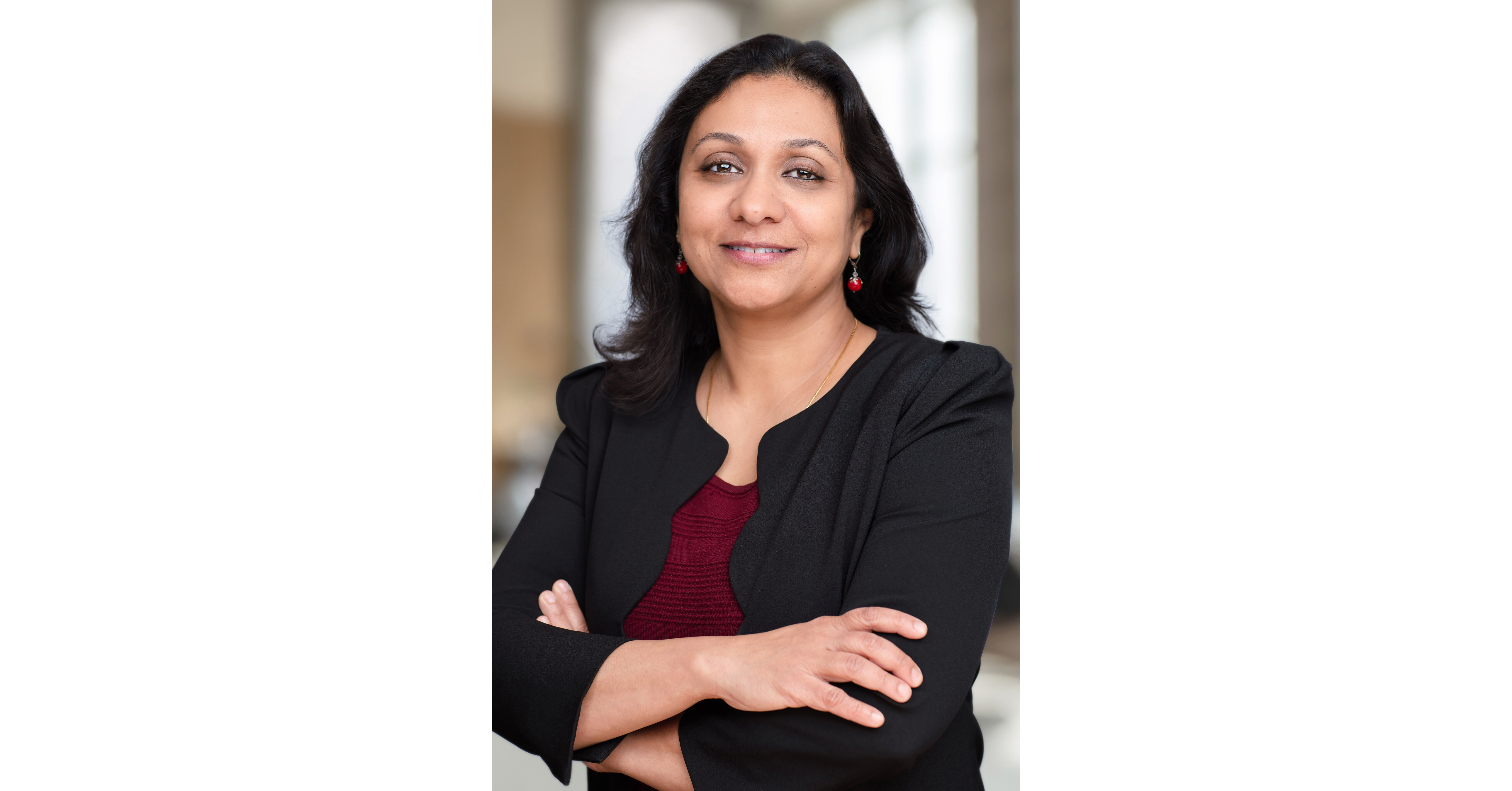 Hilco Global Appoints Anu Krishnan as Chief Financial Officer
