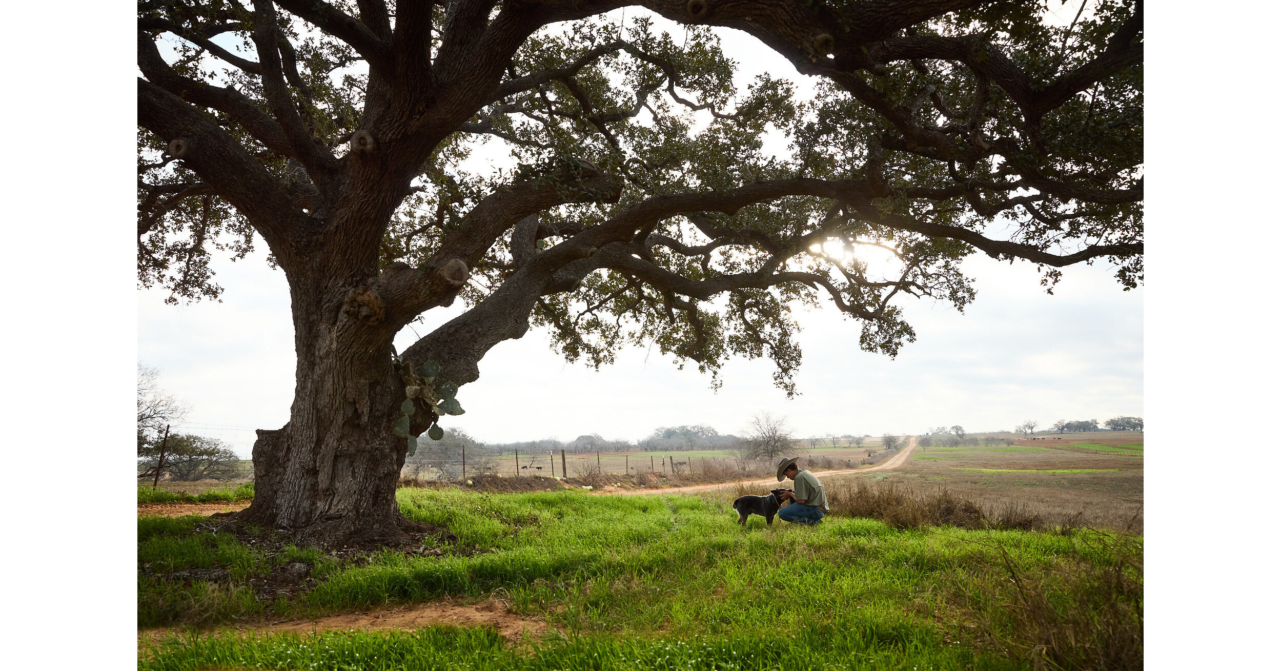 MULTI-GENERATIONAL RANCHER LAUNCHES TEXASRANCHES.COM, A SITE DEDICATED ...