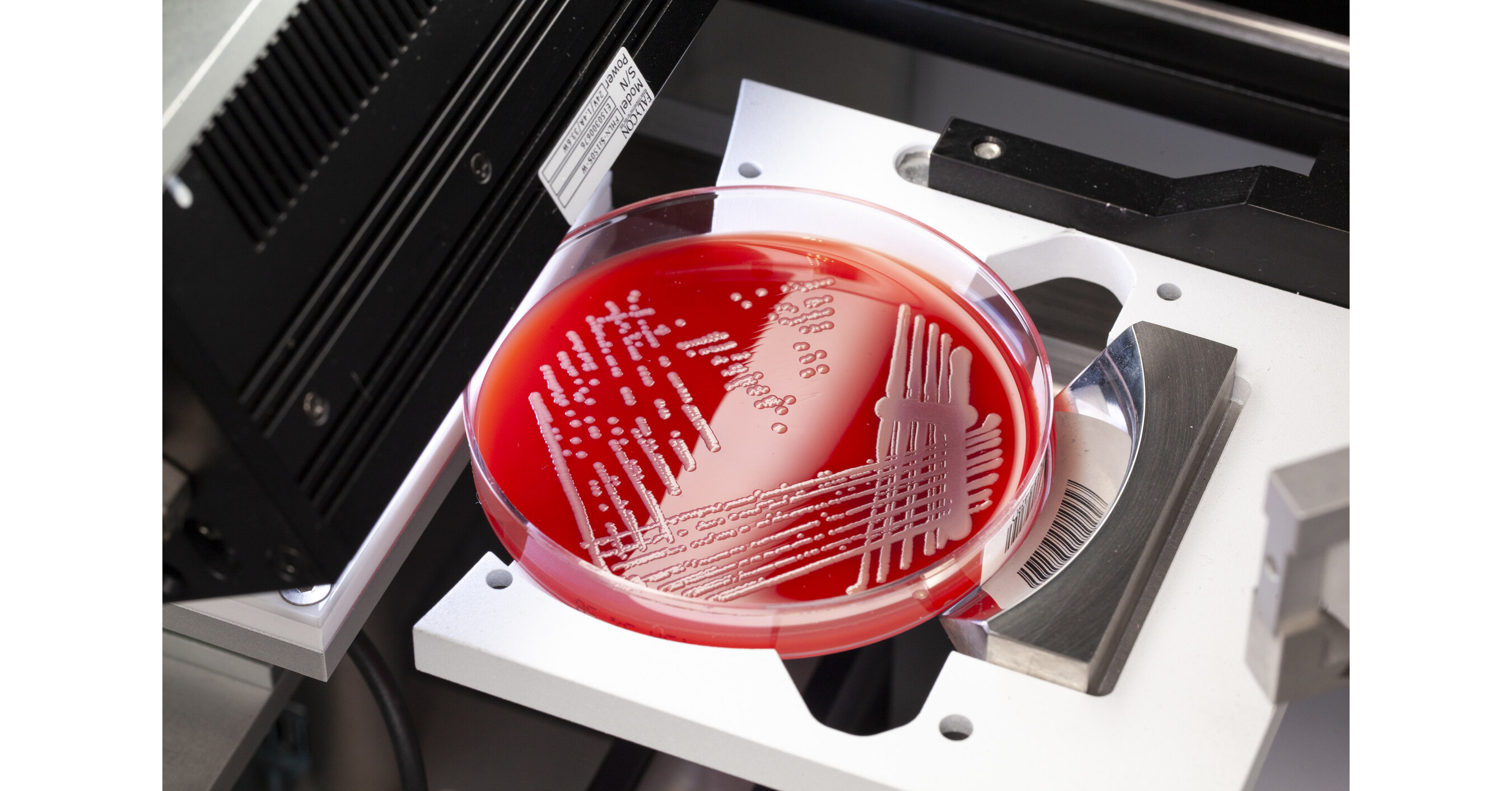 FDA 510(k) Clearance Establishes Broad Intended Use for Copan's ...