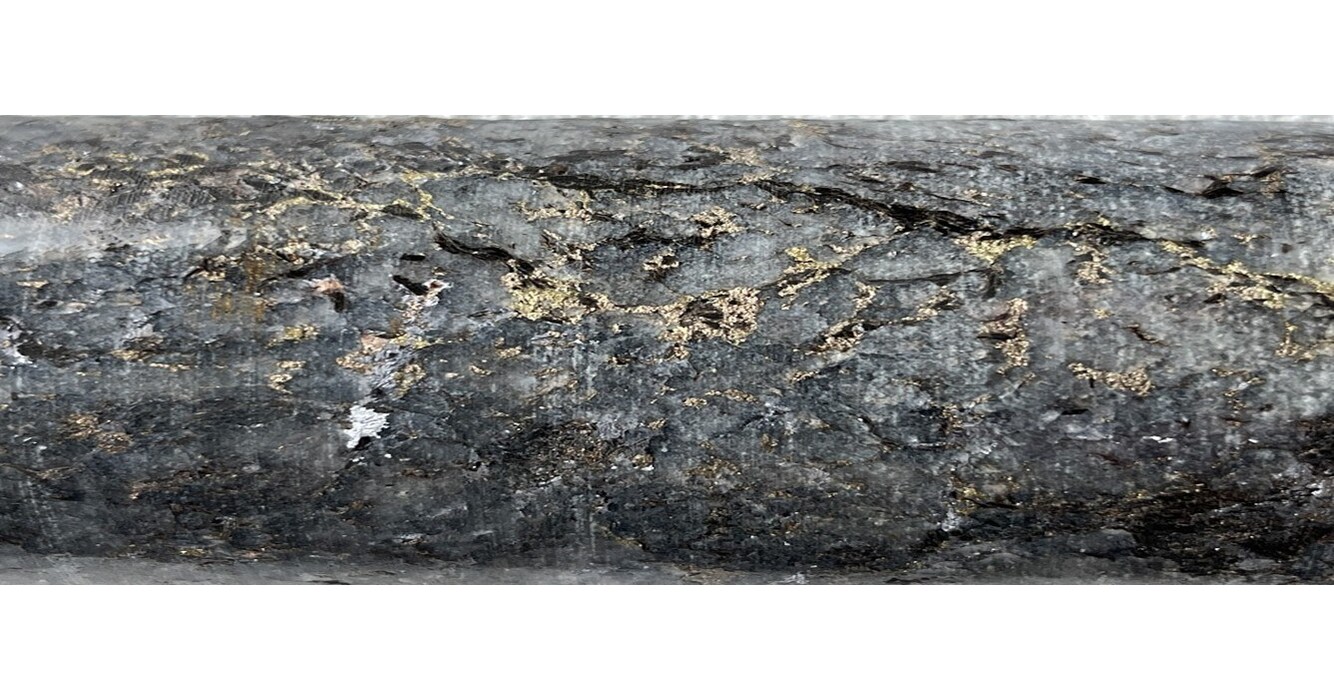 NiCAN - Additional Assays from New Near Surface Gold Discovery in ...