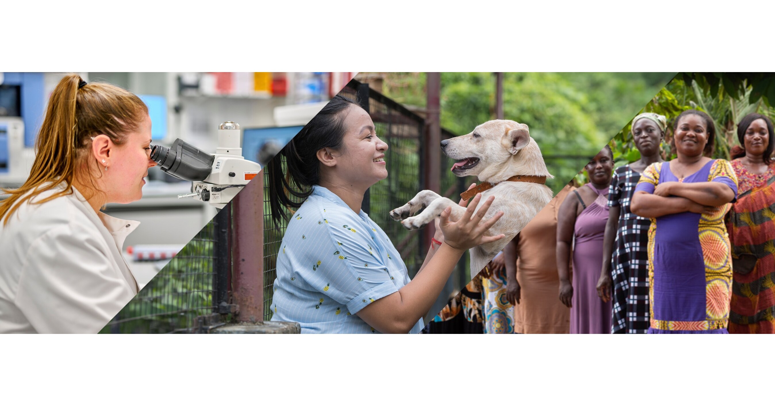 Mars Launches Mars Impact Fund to Drive Lasting Change for People, Pets ...