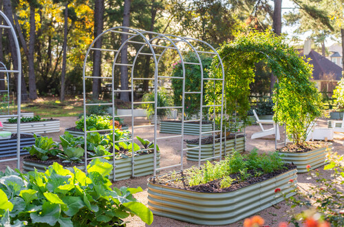 Vego Garden Encourages Spring Garden Planning with an Ecosystem ...