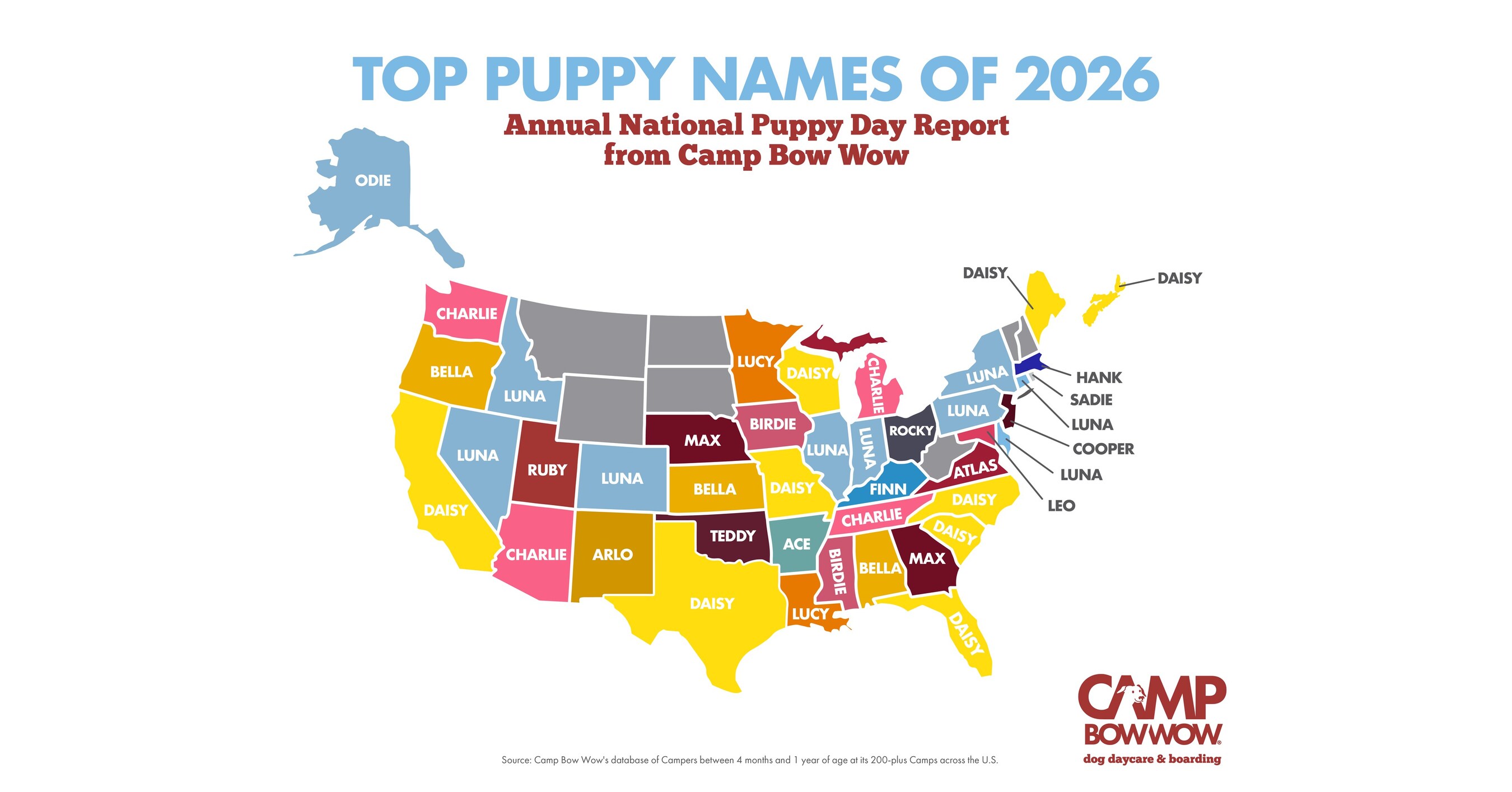 CAMP BOW WOW® REVEALS 2026 TOP PUPPY NAMES IN 5th ANNUAL NATIONAL PUPPY ...