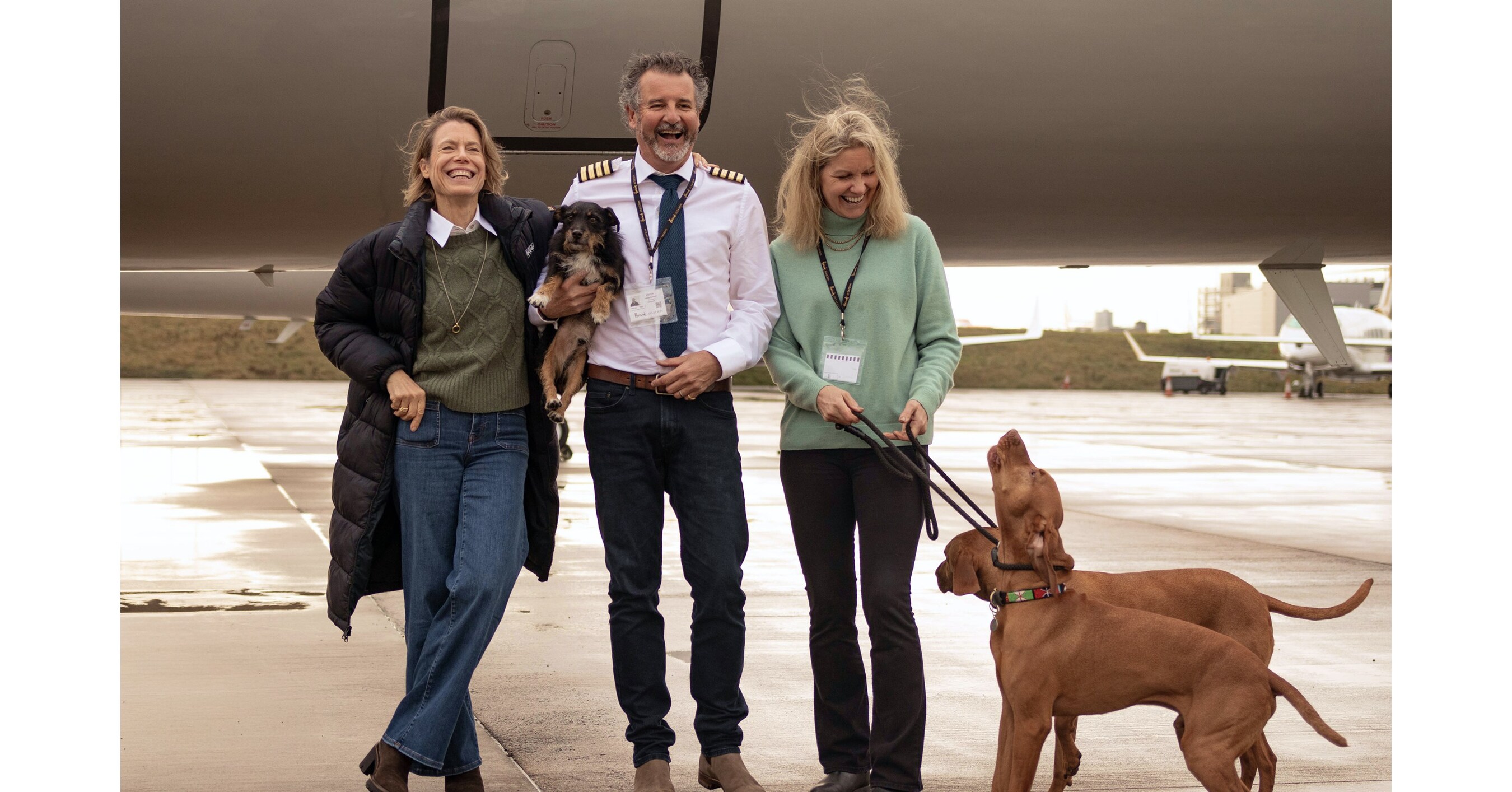 Vicuna Air - A New Model for International Pet Travel 'In Cabin'