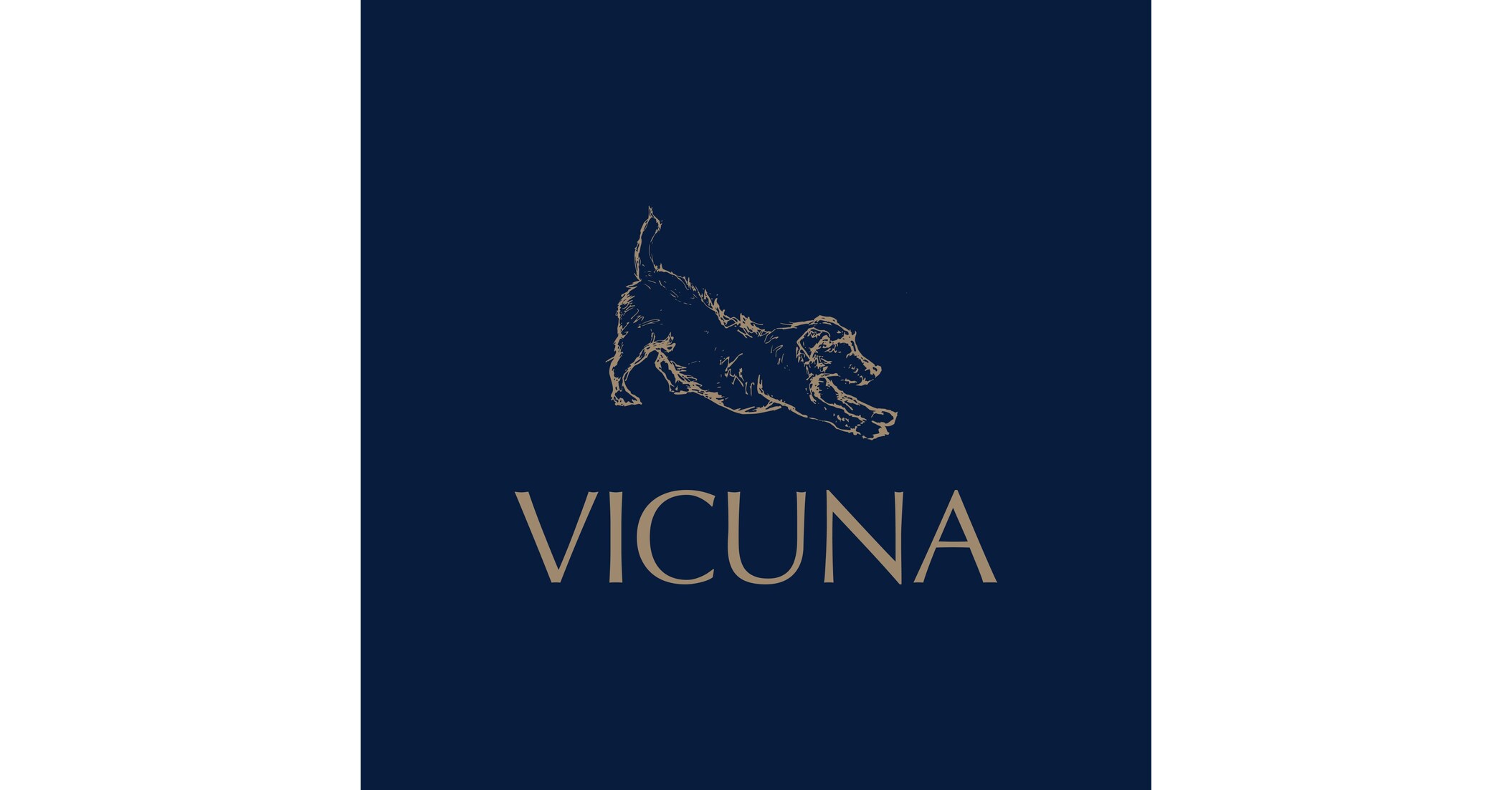 Vicuna Air - A New Model for International Pet Travel 'In Cabin'