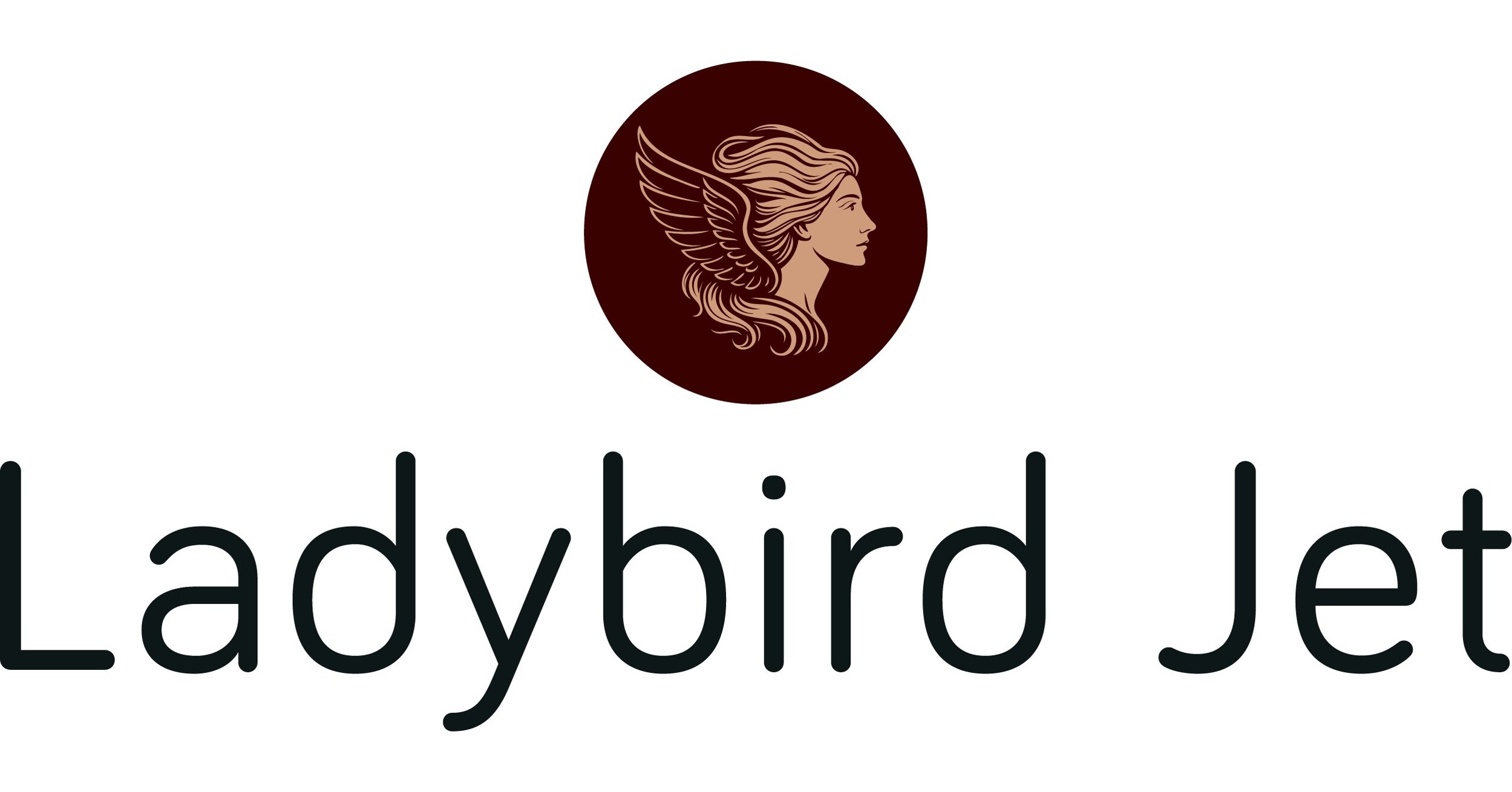 Ladybird Jet Expands Semi-Private Aviation Network to Houston ...