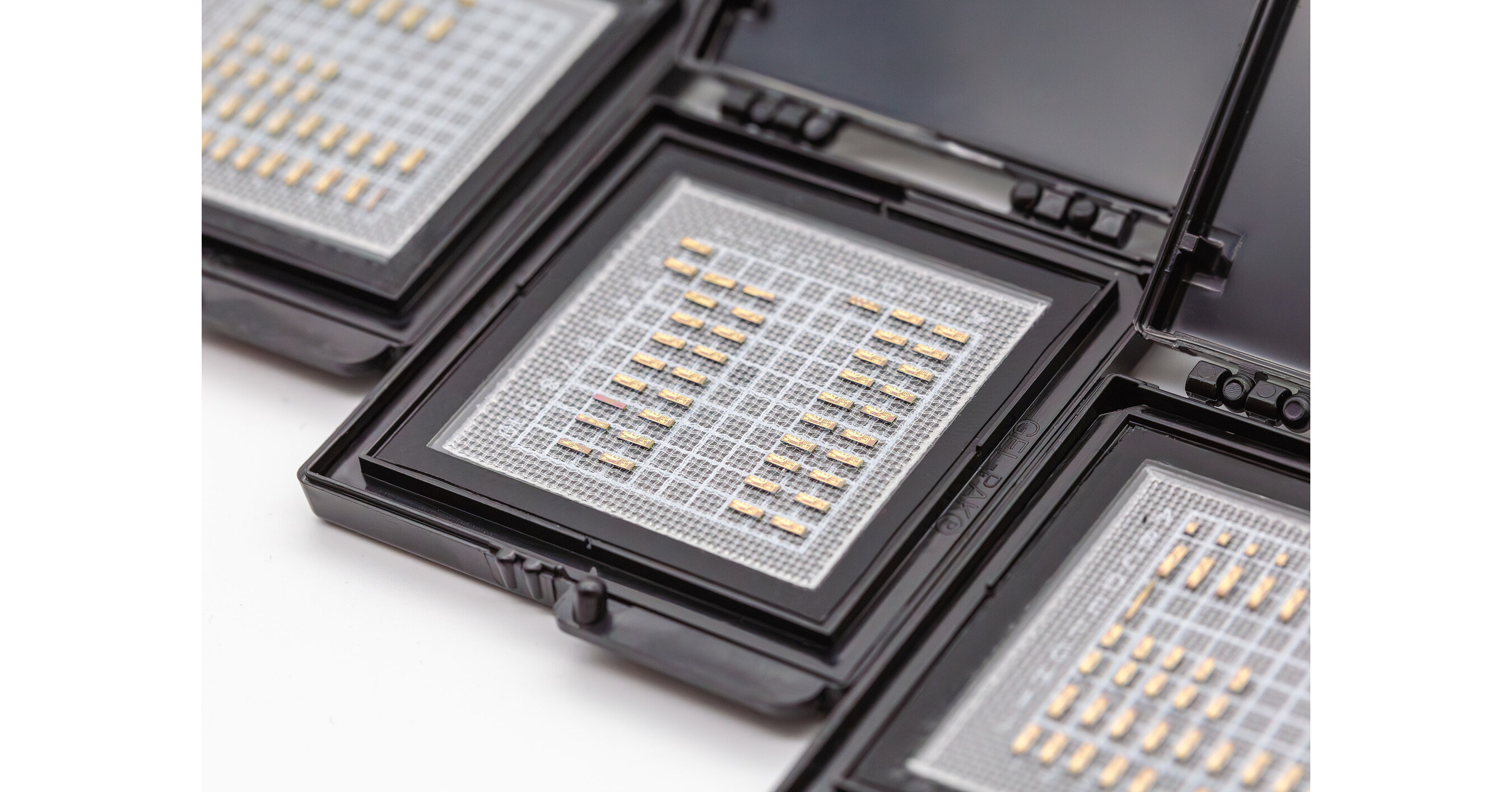 Pilot Photonics Laser selected by Finchetto for Optical Network Switch