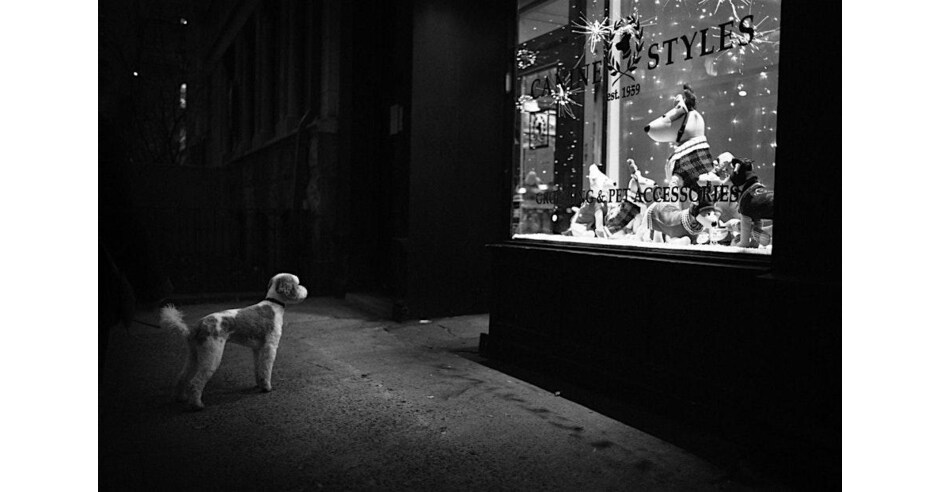Phil Penman: "Street Scenes"