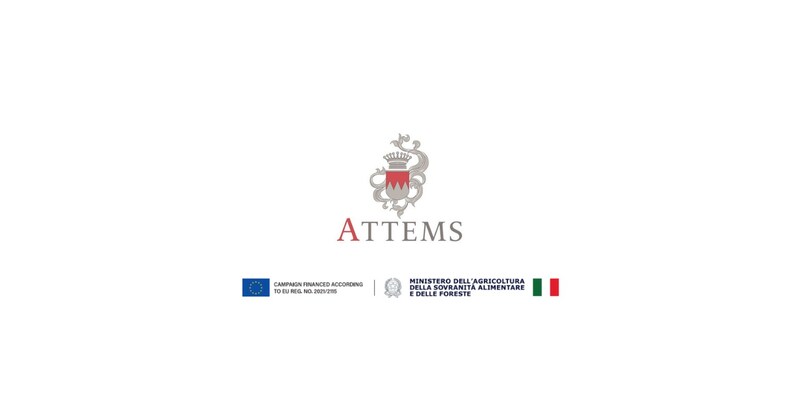 Attems releases the 2025 vintage of its Pinot Grigio