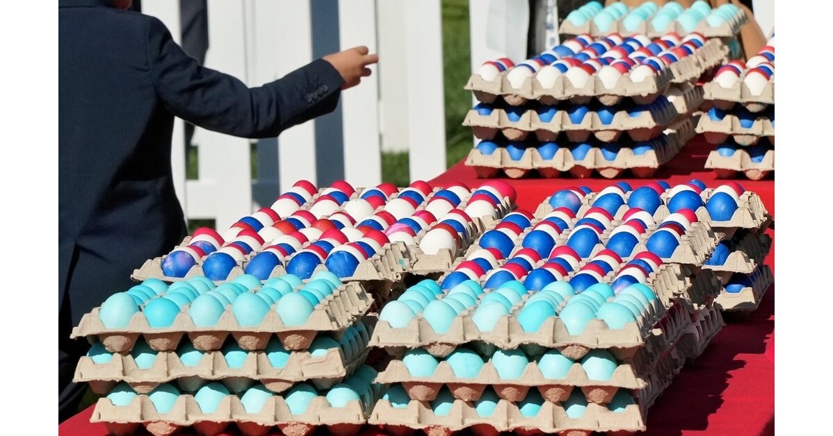 America's Egg Farmers, 40,000 Eggs and Nearly 50 Years of Tradition ...