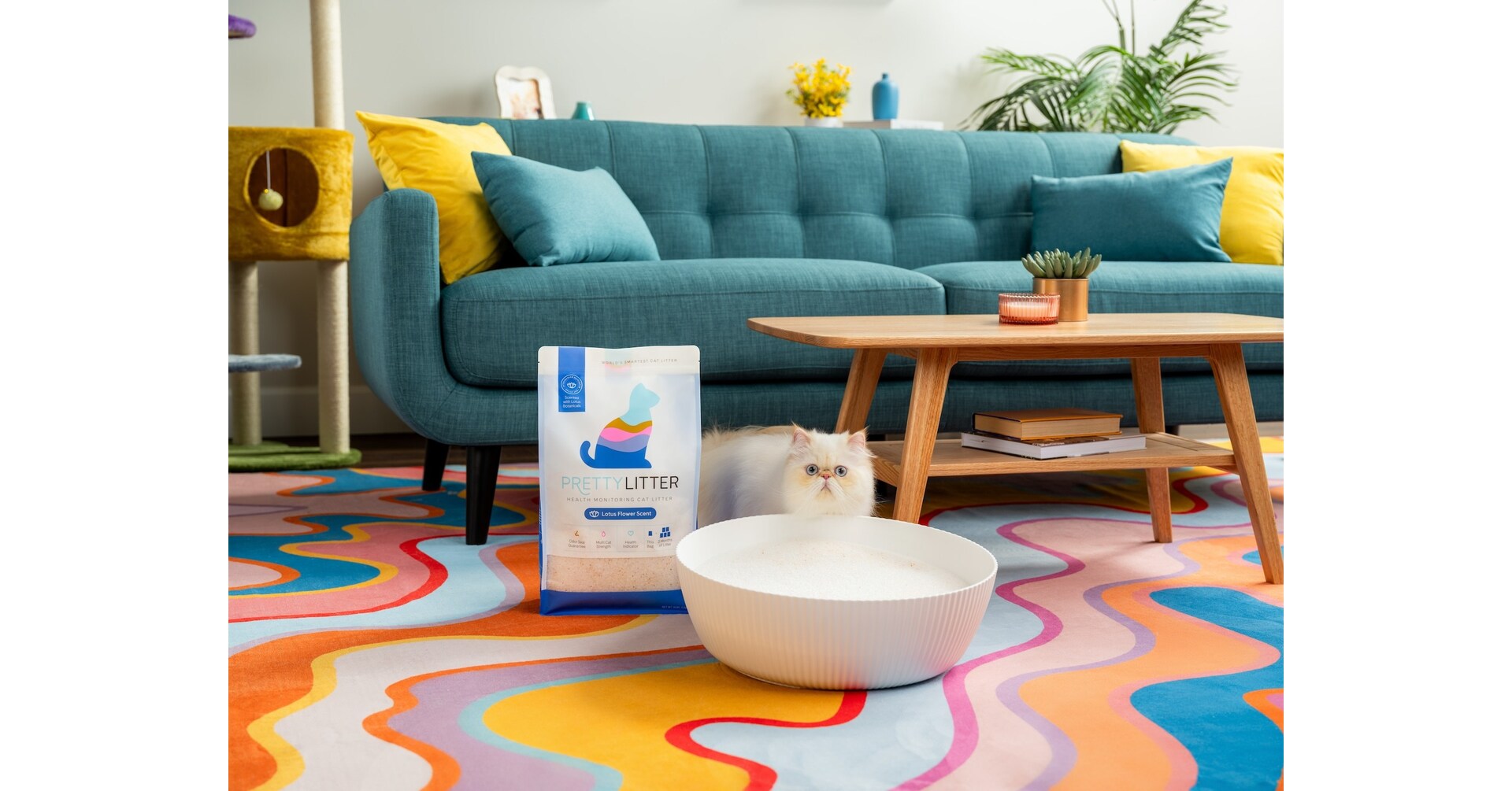 PrettyLitter Launches "The Kitten Project": A Bold National Mission to ...