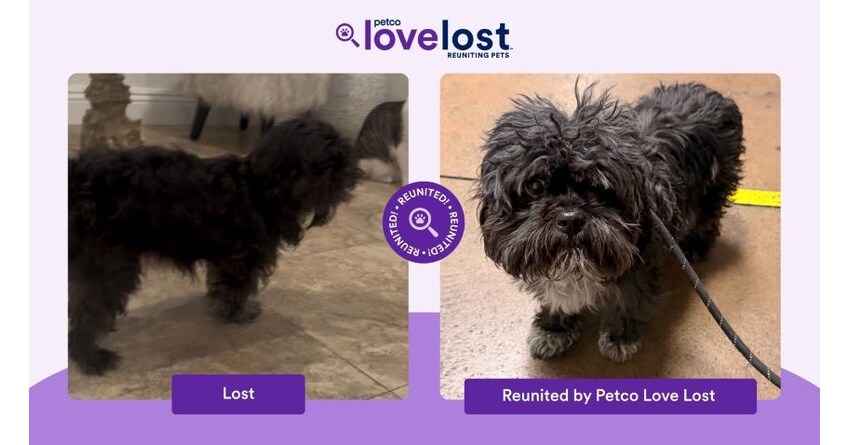 AI For Good: Petco Love Lost Reunites 250,000 Pets - Like Senior Dog ...