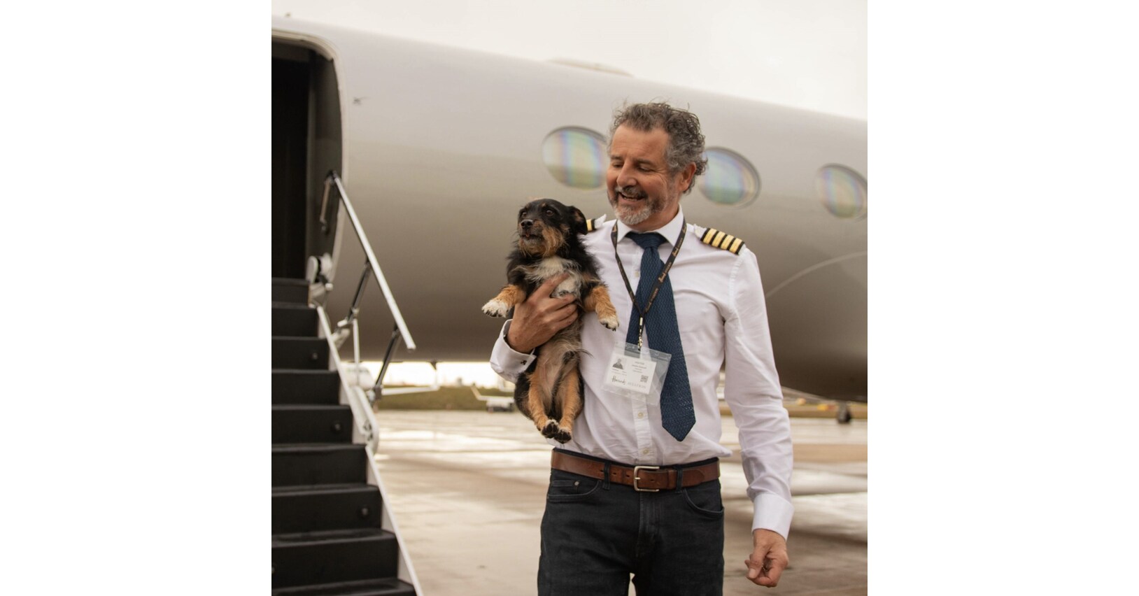 Vicuna Air Expands U.S. In-Cabin Pet Travel Network with New Routes ...