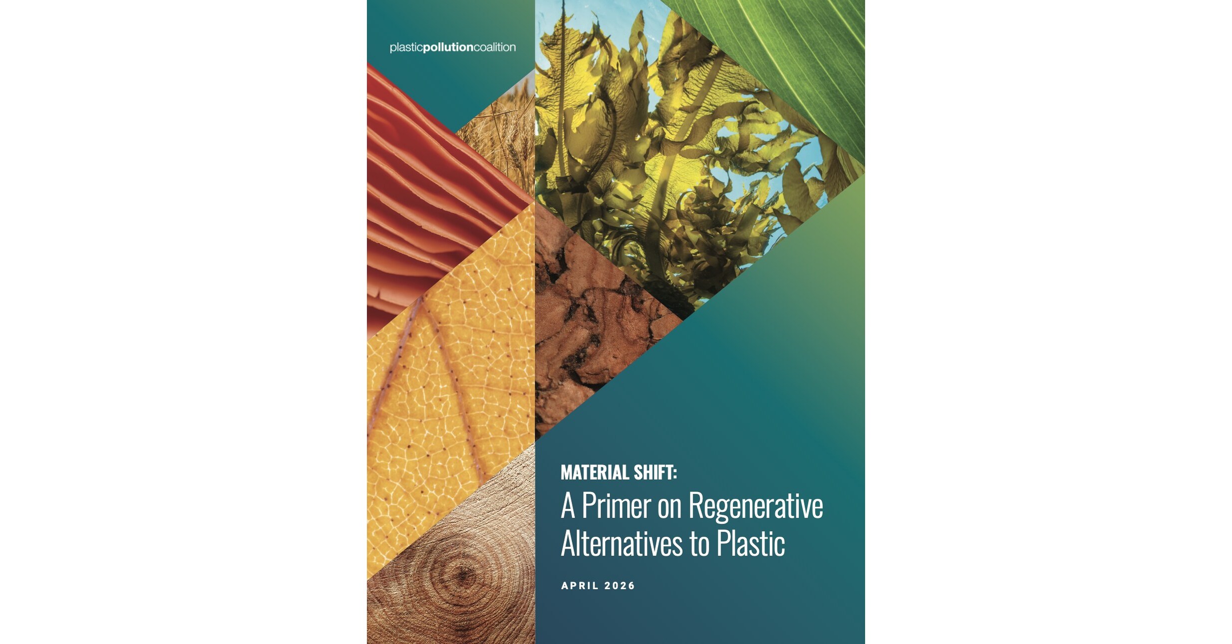 New Report Shows How Regenerative Material Solutions Can Help End ...